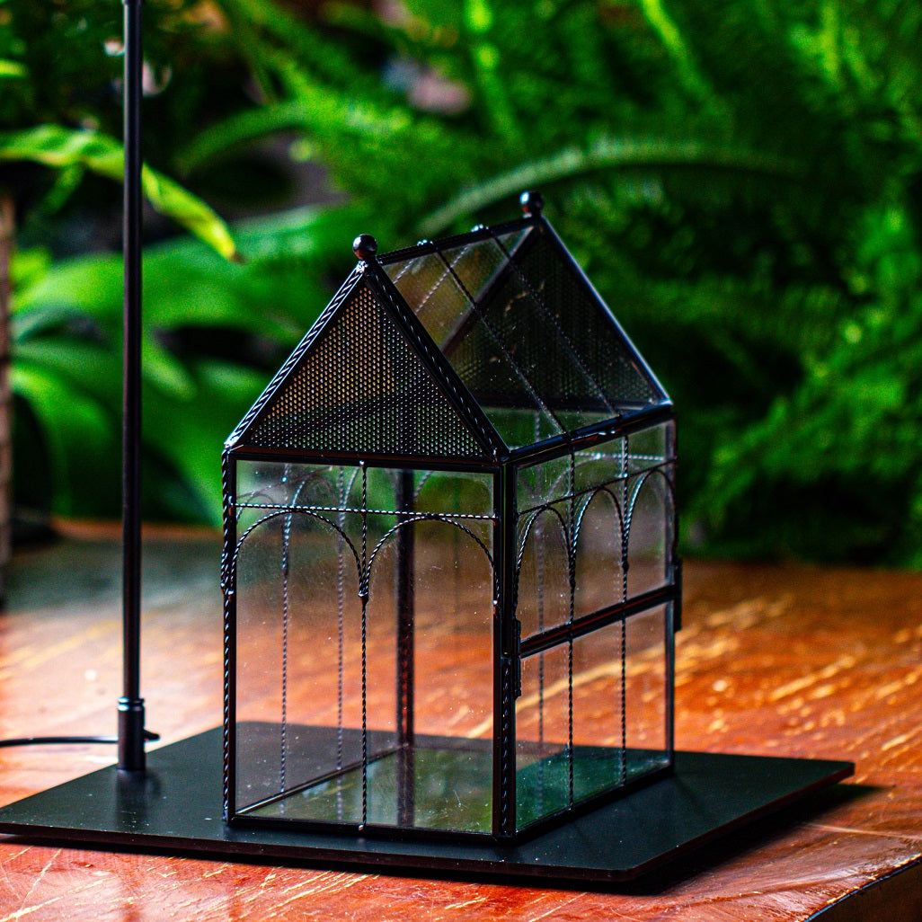 Insect Vent Terrarium – NCYPgarden