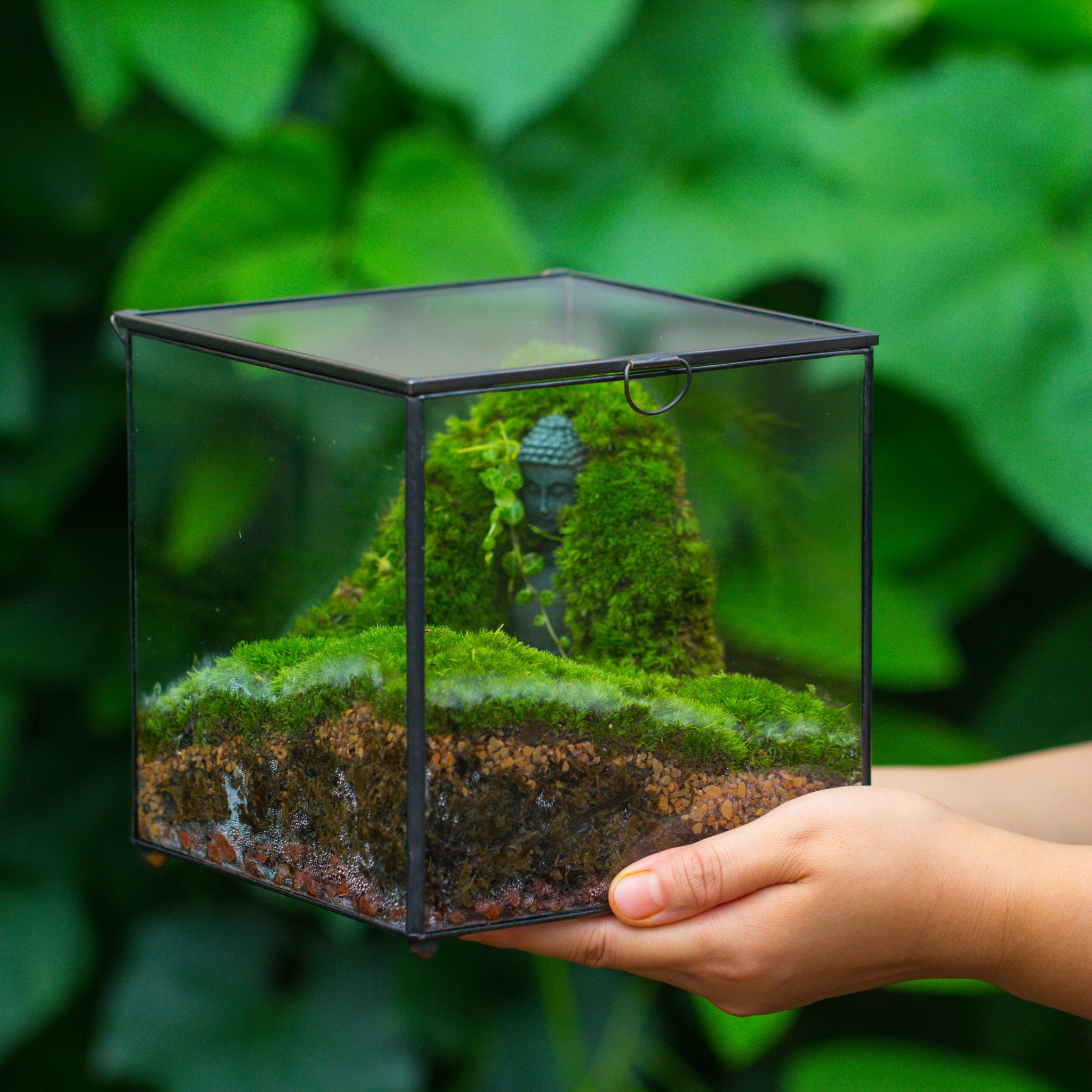 Geometric Terrariums — NCYPgarden