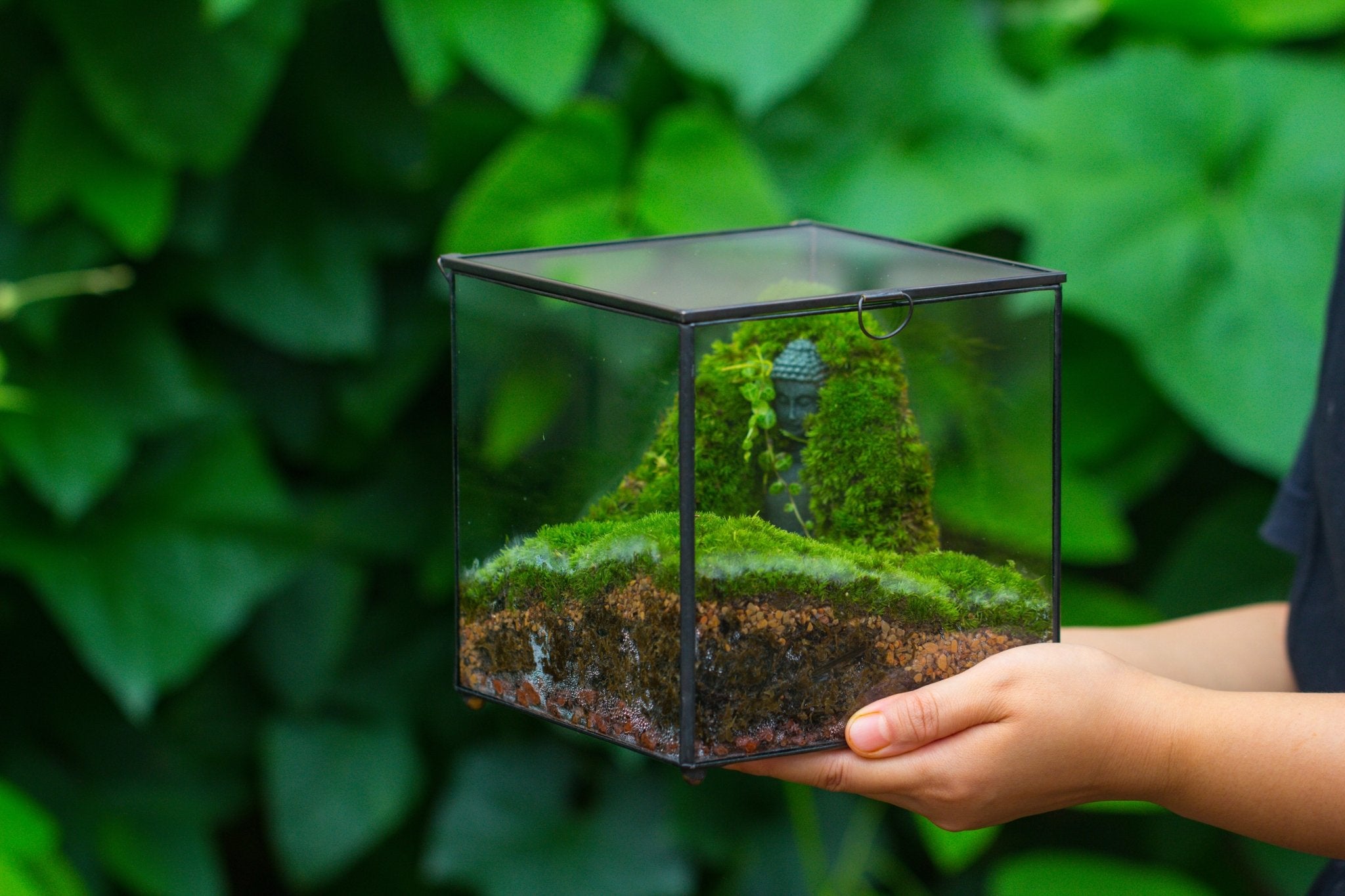 NCYP Close Geometric Glass Terrarium with Door, Tin Sealed Cube 5.9 in ...