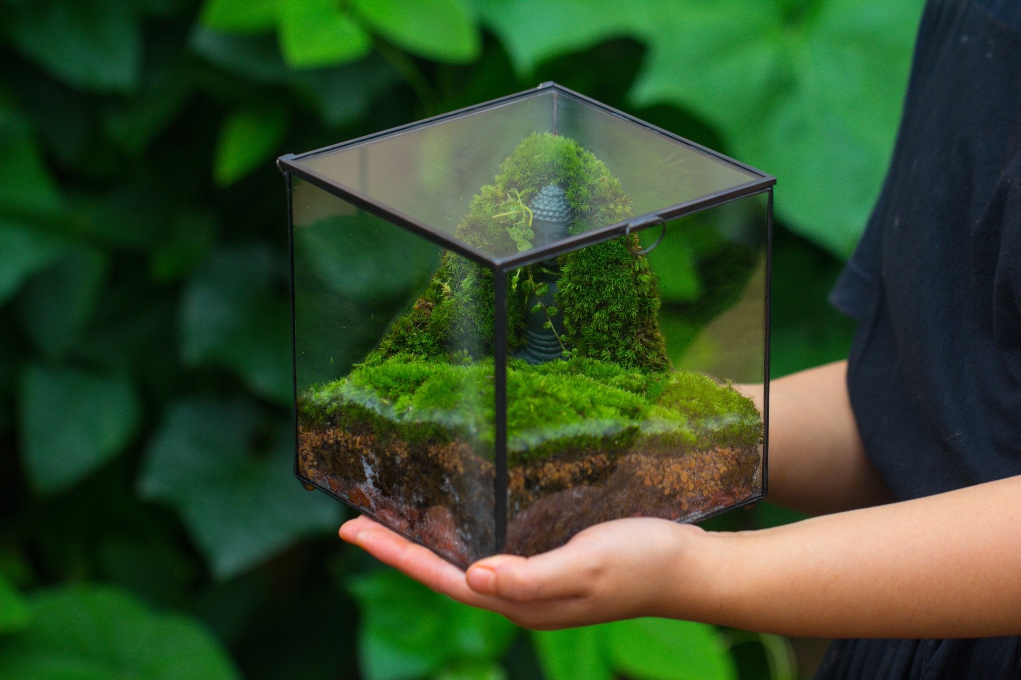 NCYP Close Geometric Glass Terrarium with Door, Tin Sealed Cube 5.9 in ...