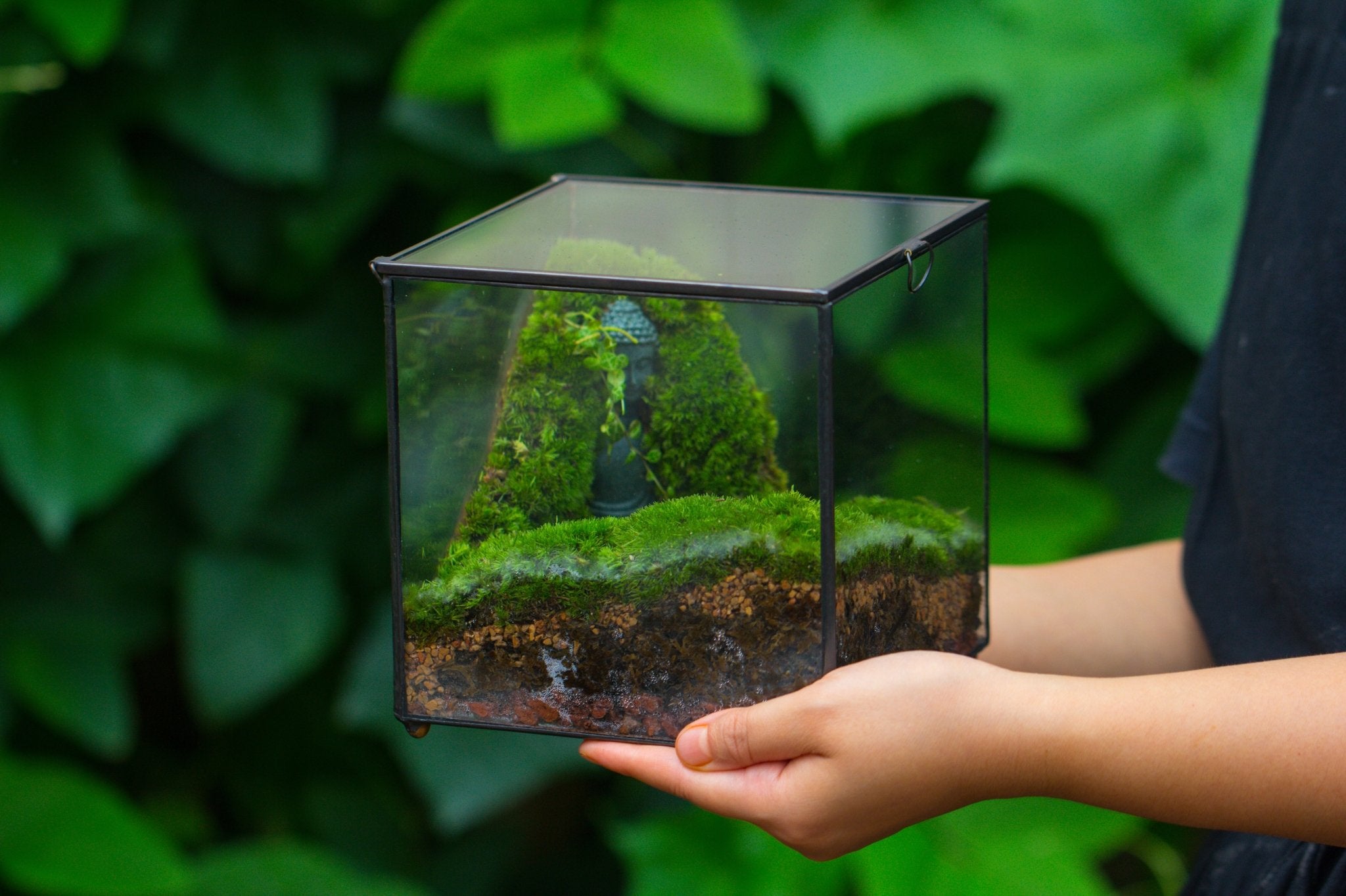 NCYP Close Geometric Glass Terrarium with Door, Tin Sealed Cube 5.9 in ...