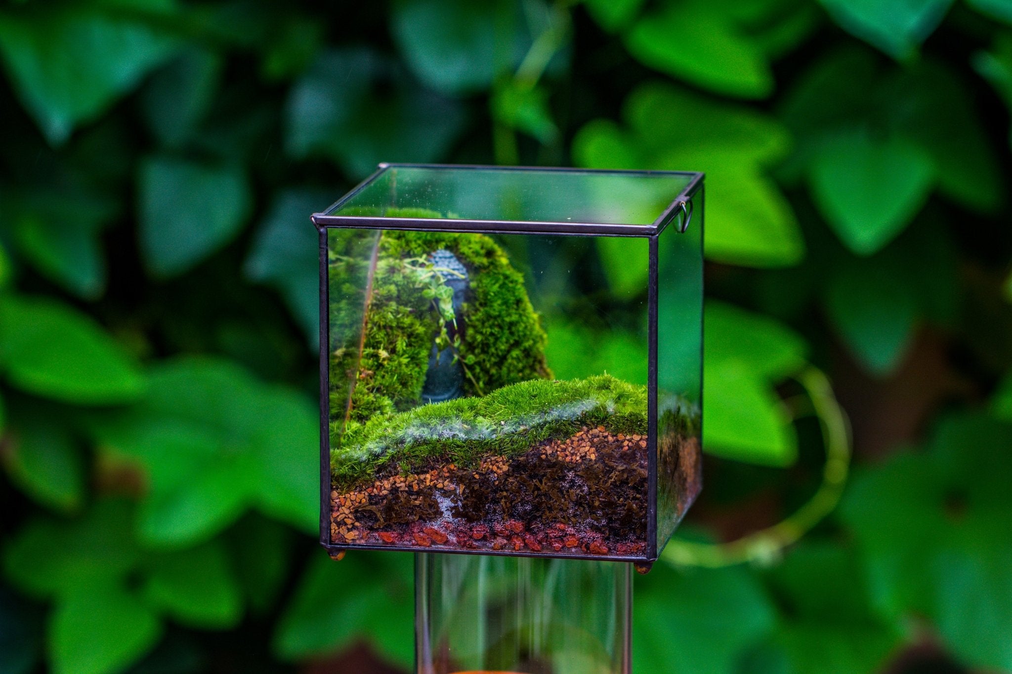NCYP Close Geometric Glass Terrarium with Door, Tin Sealed Cube 5.9 in ...