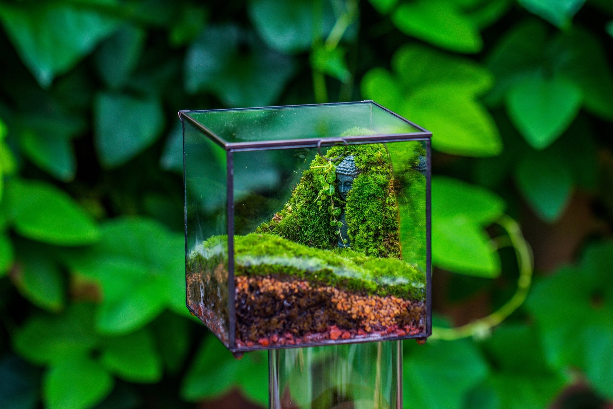 NCYP Close Geometric Glass Terrarium with Door, Tin Sealed Cube 5.9 in ...