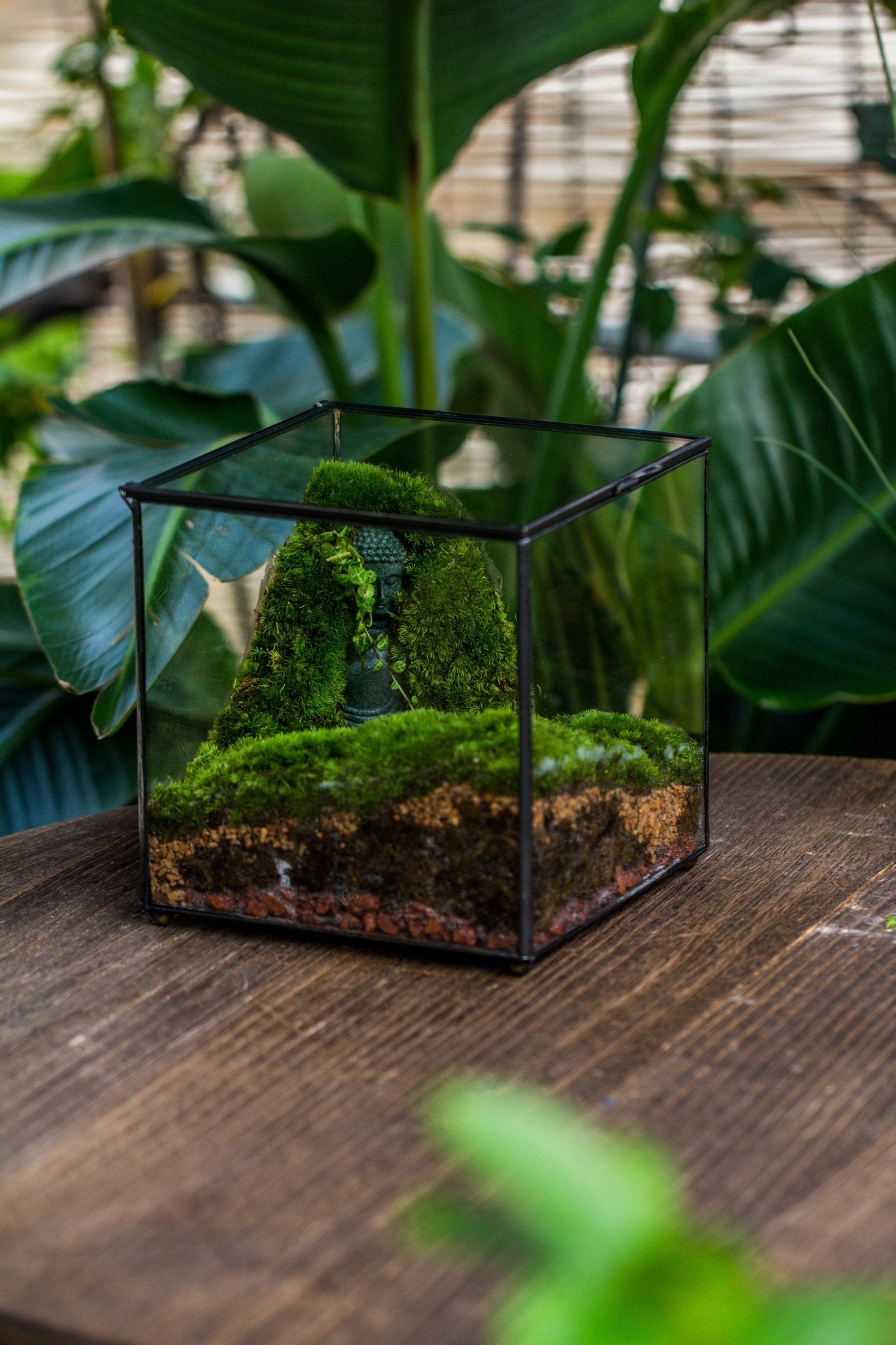 NCYP Close Geometric Glass Terrarium with Door, Tin Sealed Cube 5.9 in ...