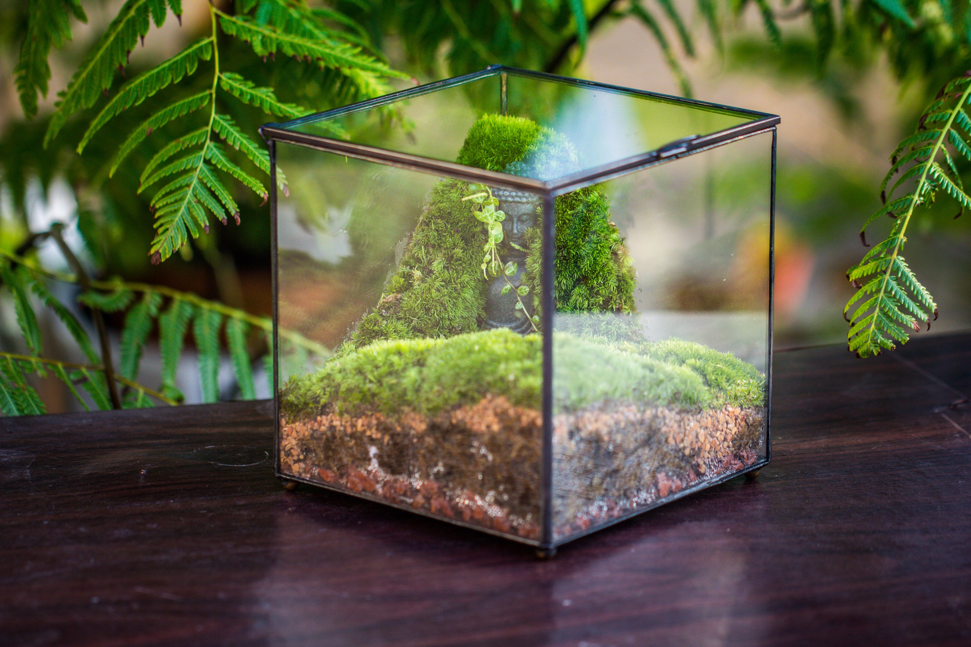 NCYP Close Geometric Glass Terrarium with Door, Tin Sealed Cube 5.9 in ...