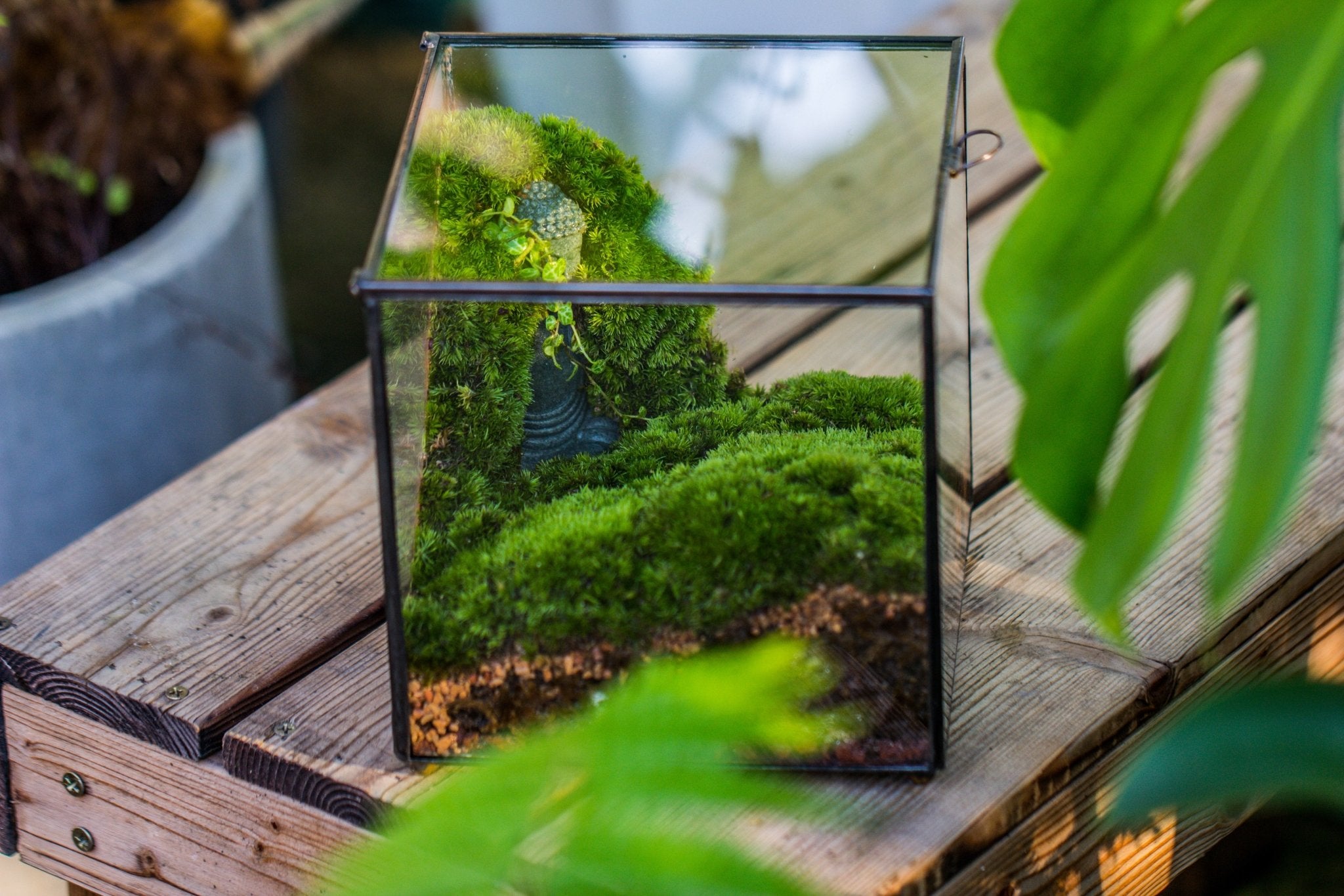NCYP Close Geometric Glass Terrarium with Door, Tin Sealed Cube 5.9 in ...