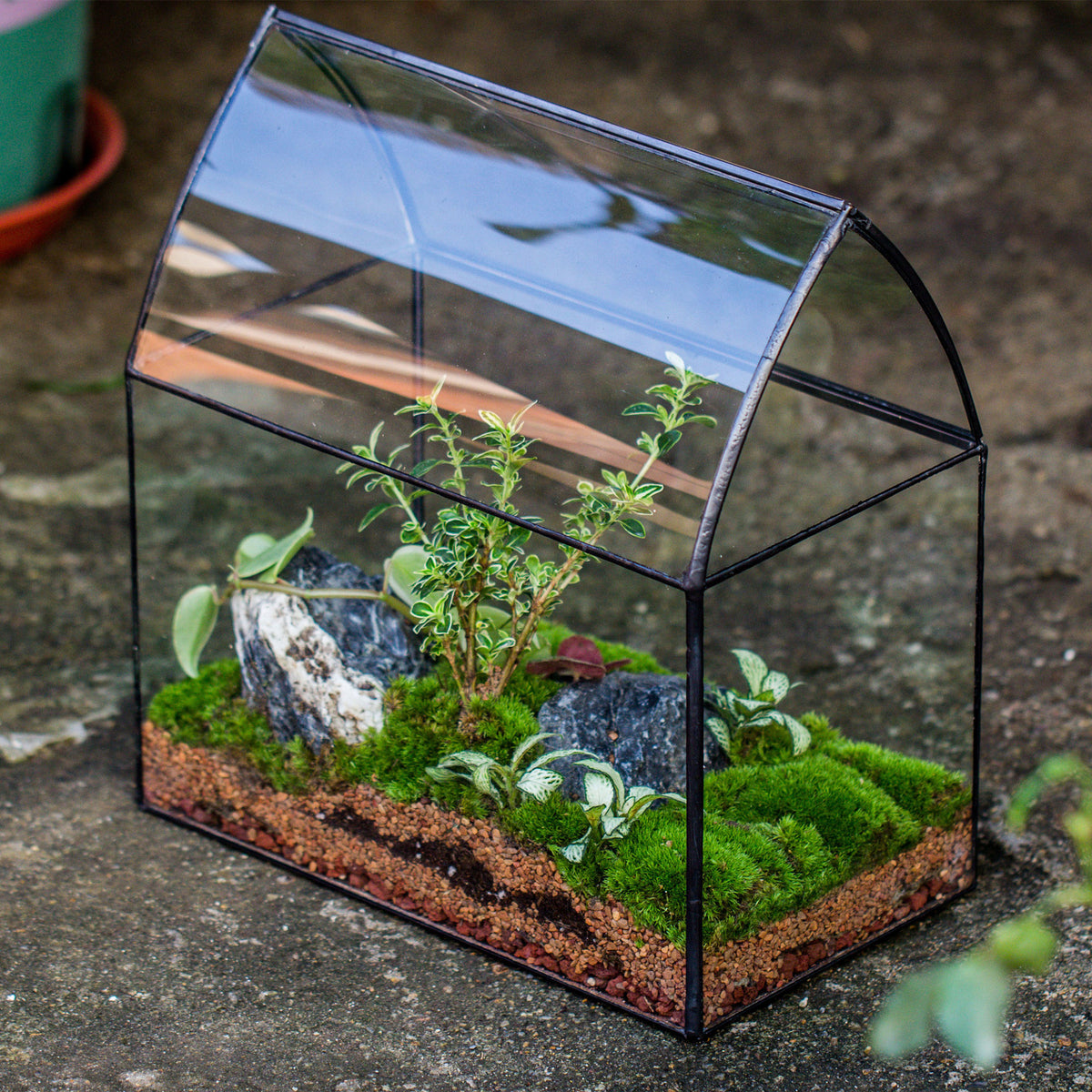Handmade Unique Closed Terrarium with Arched Roof | HouseShape Closed ...