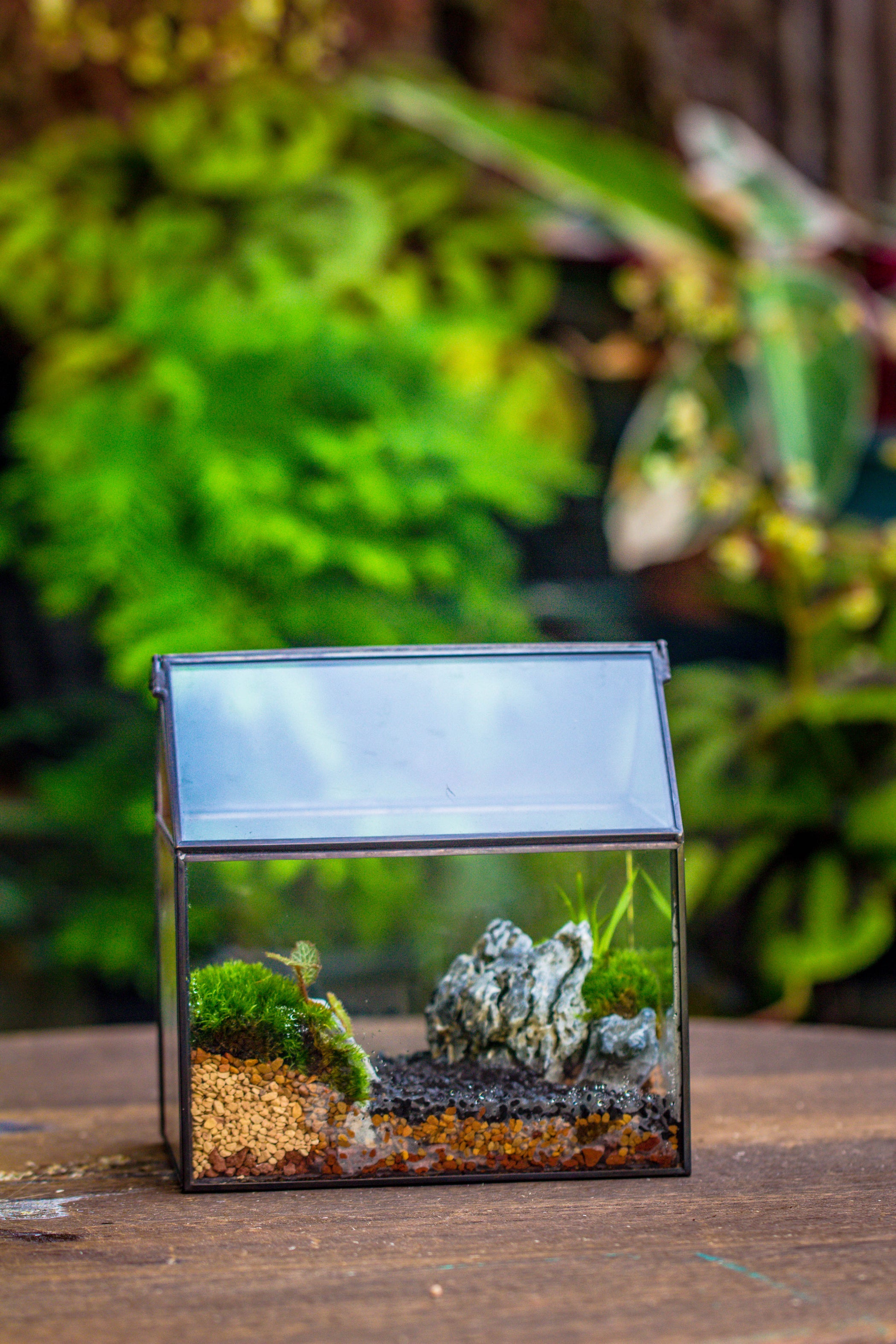 Handmade Black Gold Glass Box Geometric Terrarium with Lid for Planter ...