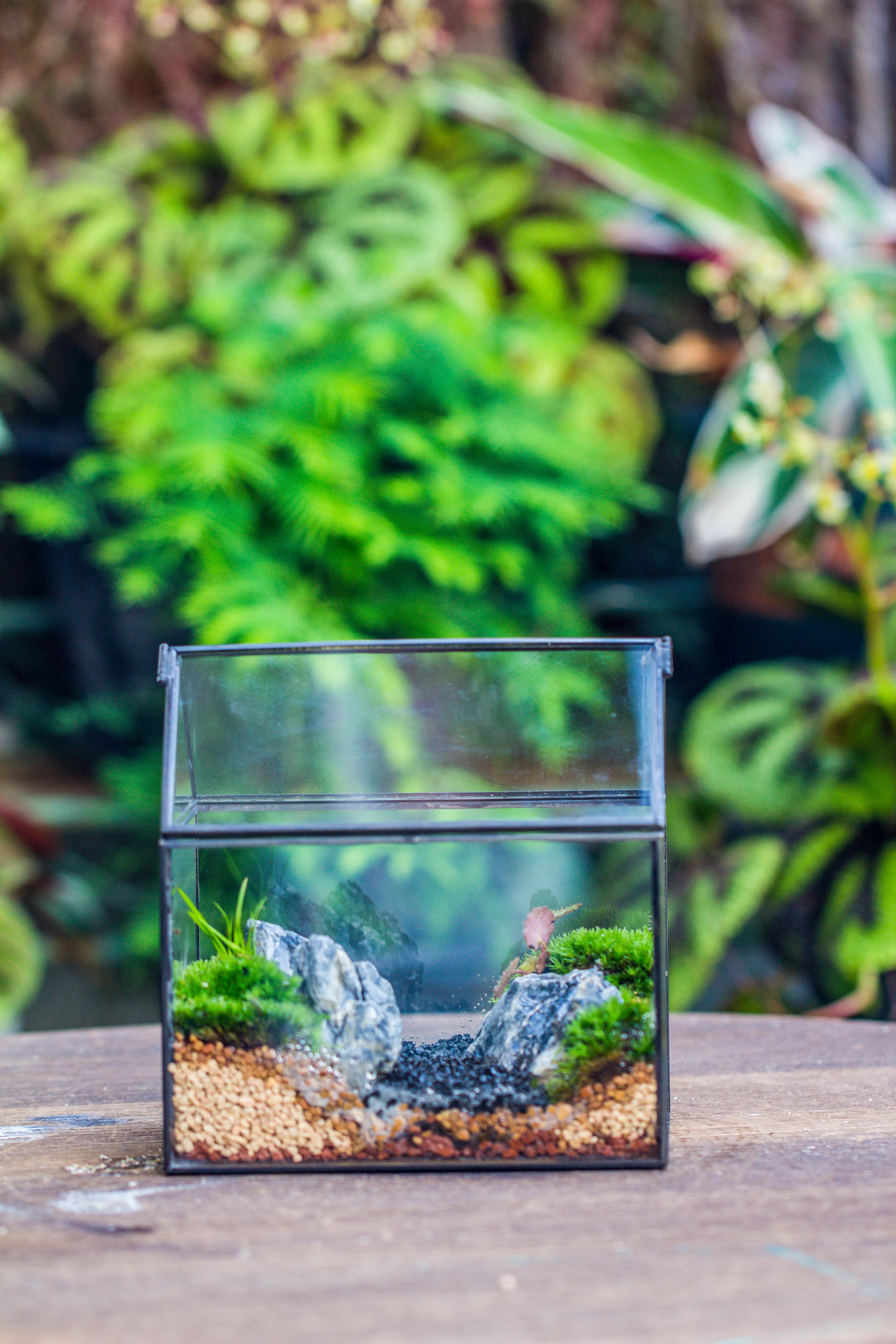 Handmade Black Gold Glass Box Geometric Terrarium with Lid for Planter ...