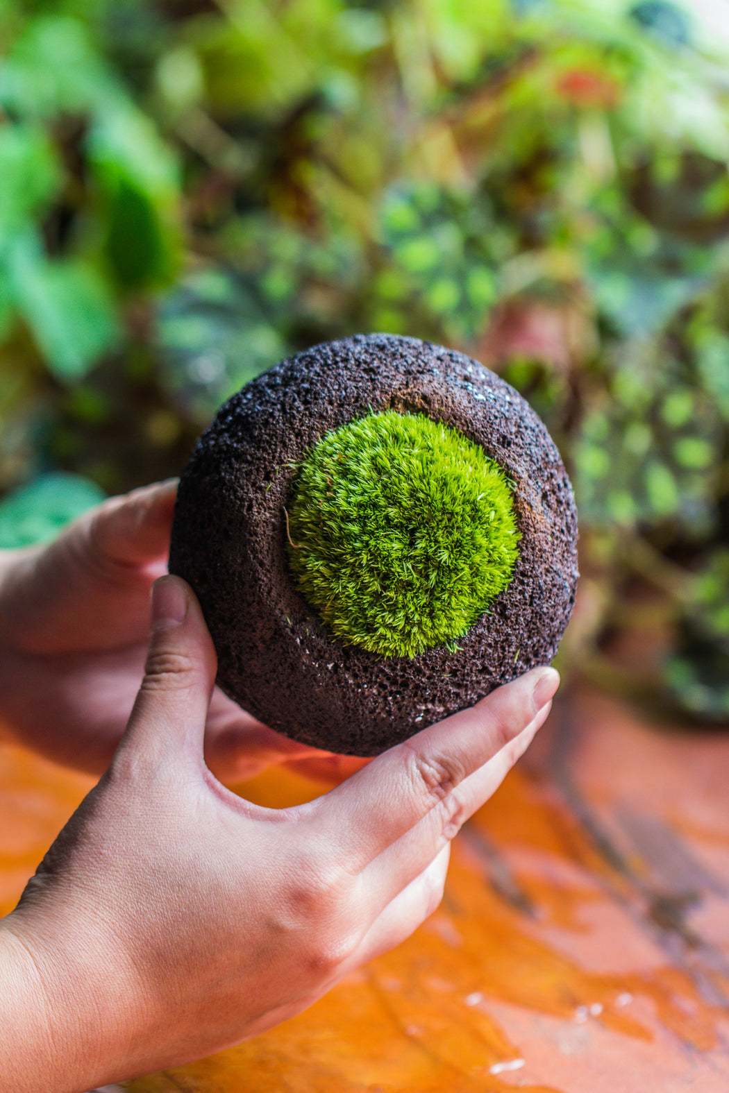 DIY set 10cm / 3.7" Round Horticultural Lava Rock Volcanic Rock ...