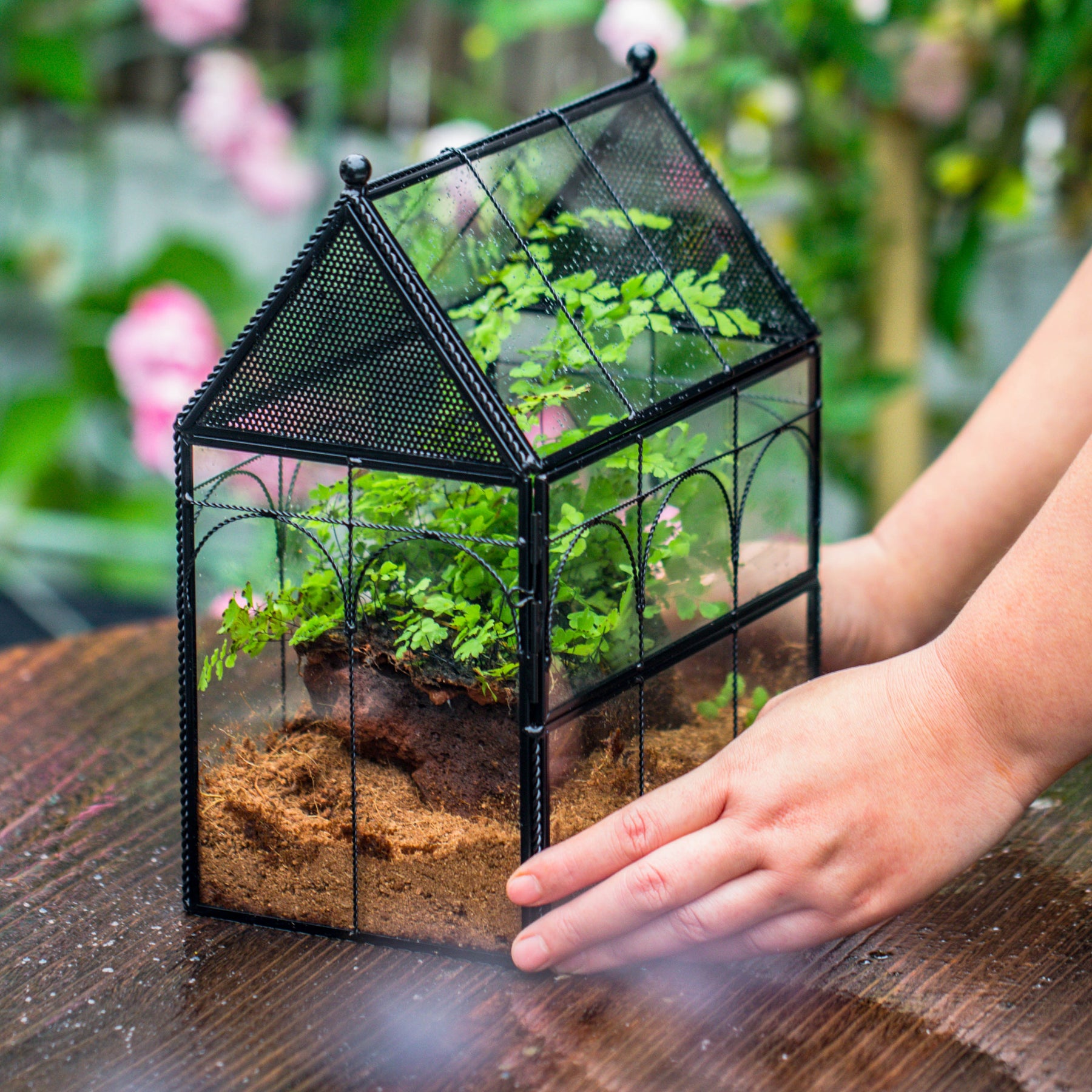 NCYP handmade geometric terrarium, float frame, centerpiece urns ...