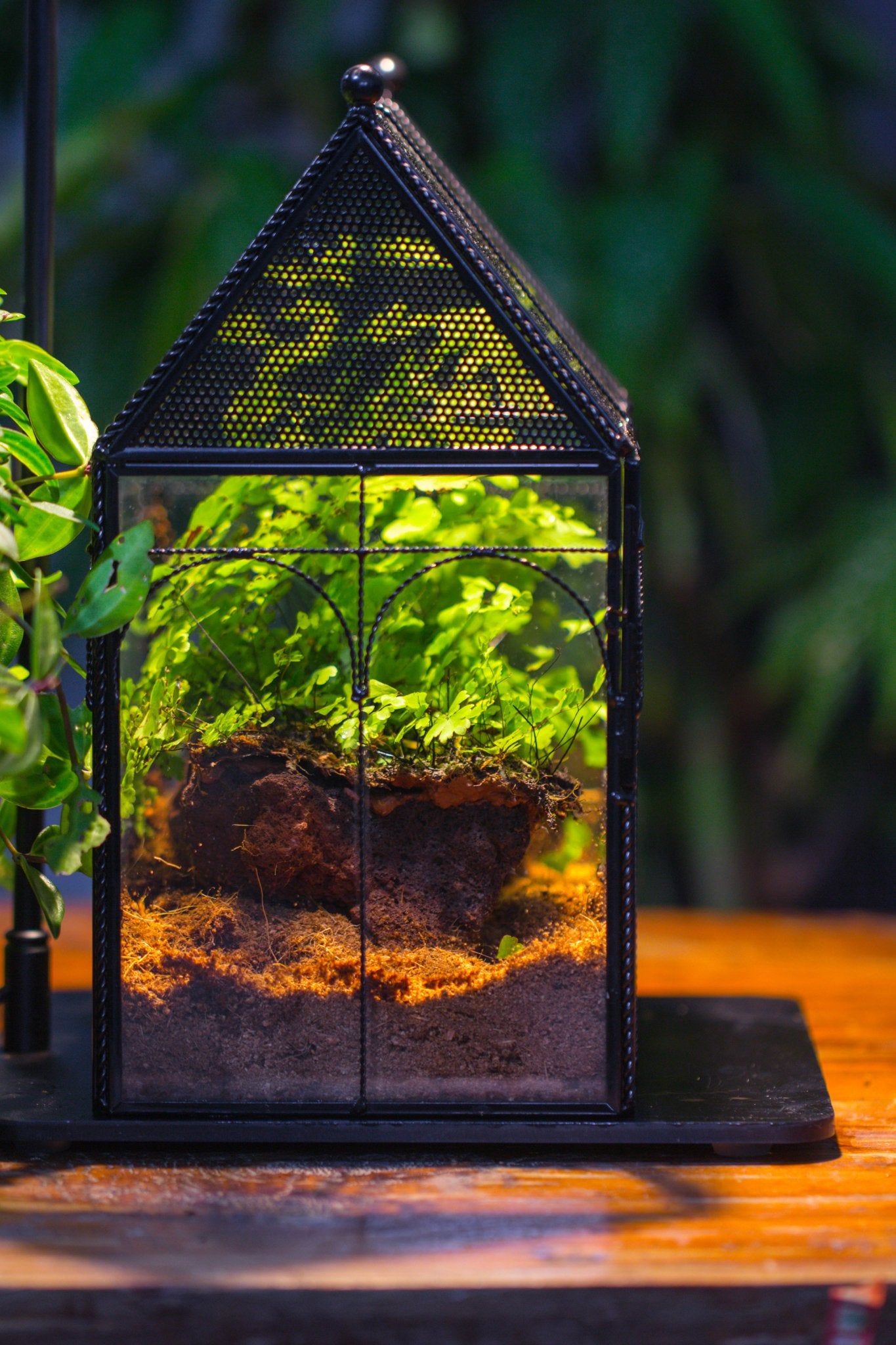 NCYP Vintage House Shape Stainless Steel and Glass Geometric Terrarium ...