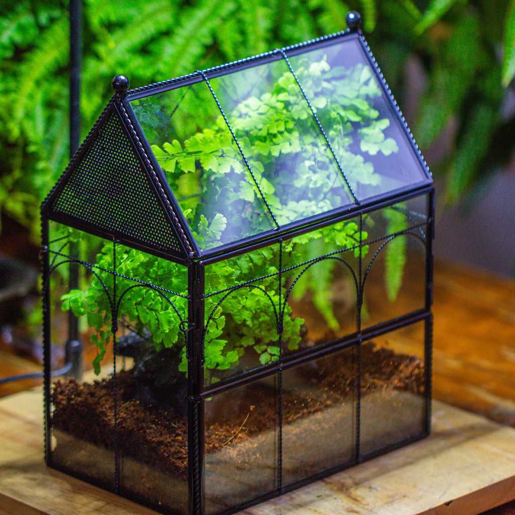 Terrarium Building Set — NCYPgarden