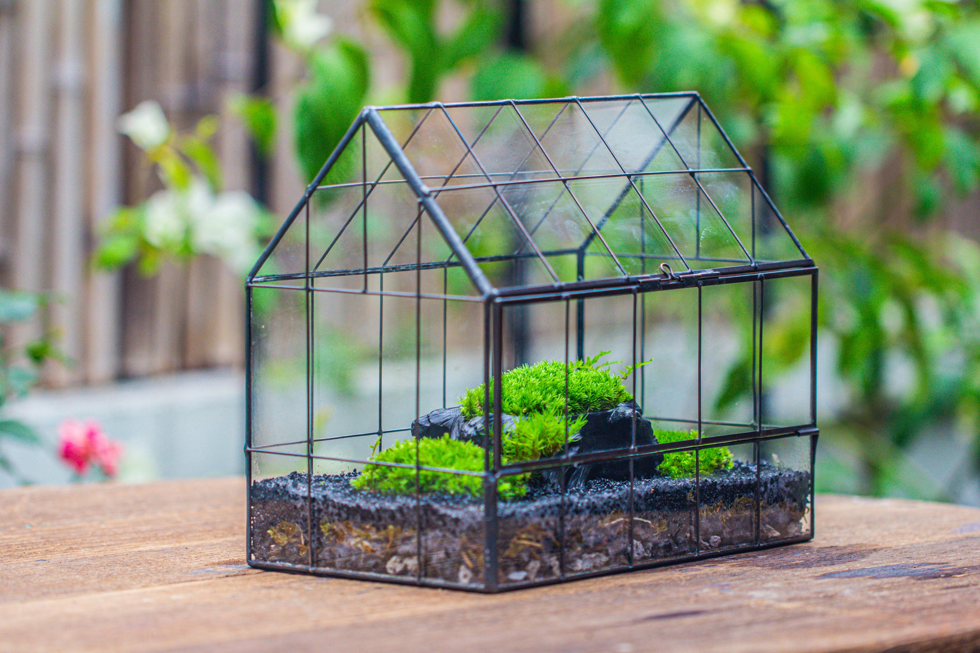 Black Theme Moss and Tree Stump Terrarium Kit — NCYPgarden