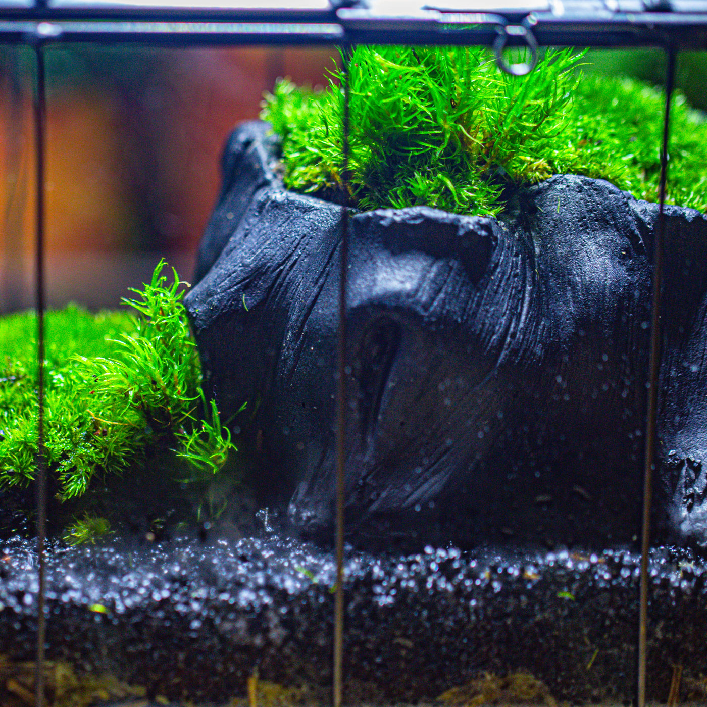 small black tree stump like planter, for terrarium, microlandscape ...