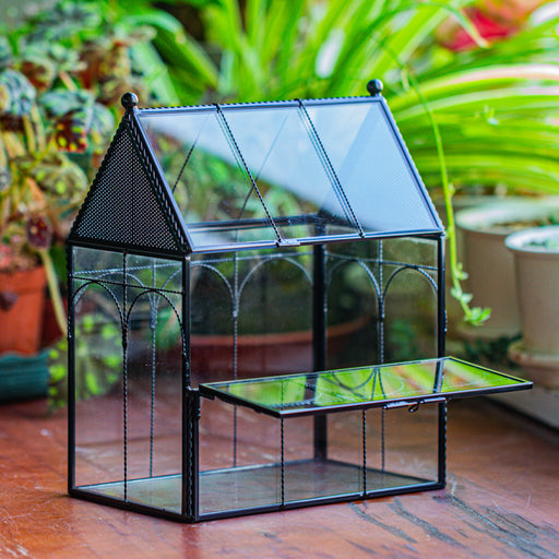Insects terrariums — NCYPgarden