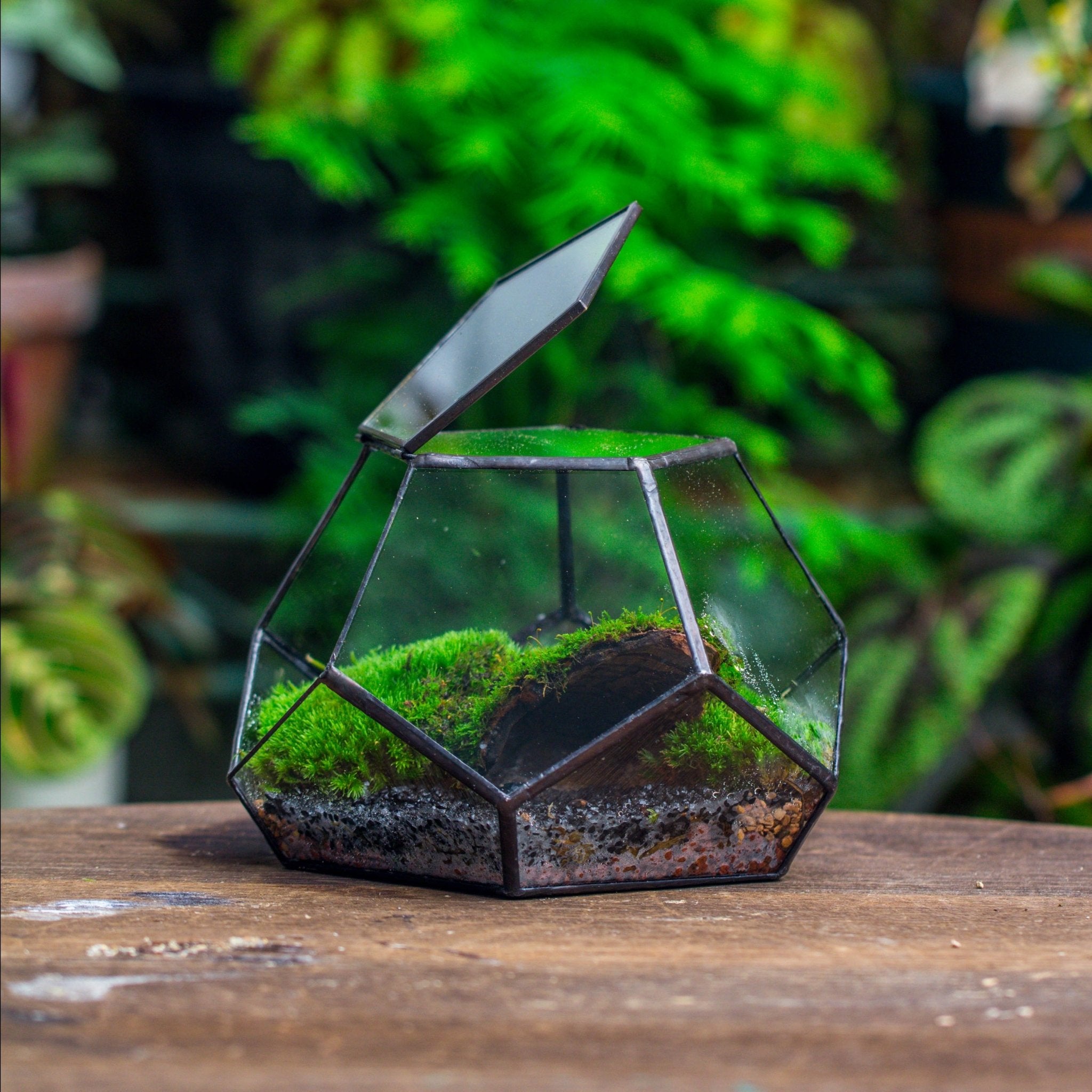 Half Ball Glass Terrarium for Miniature Gardens and Landscapes — NCYPgarden