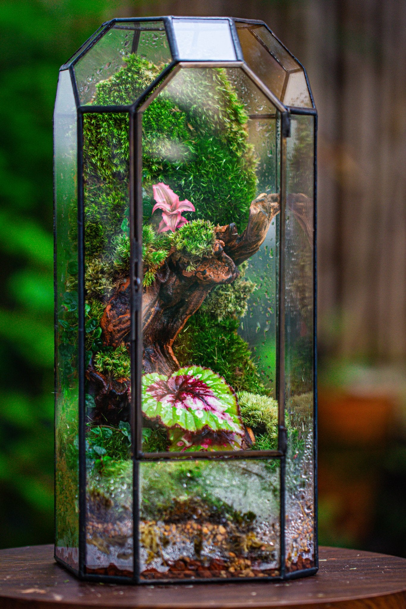 Vintage Tall Octagon Geometric Tin Glass Terrarium , 12.6" , close, su ...