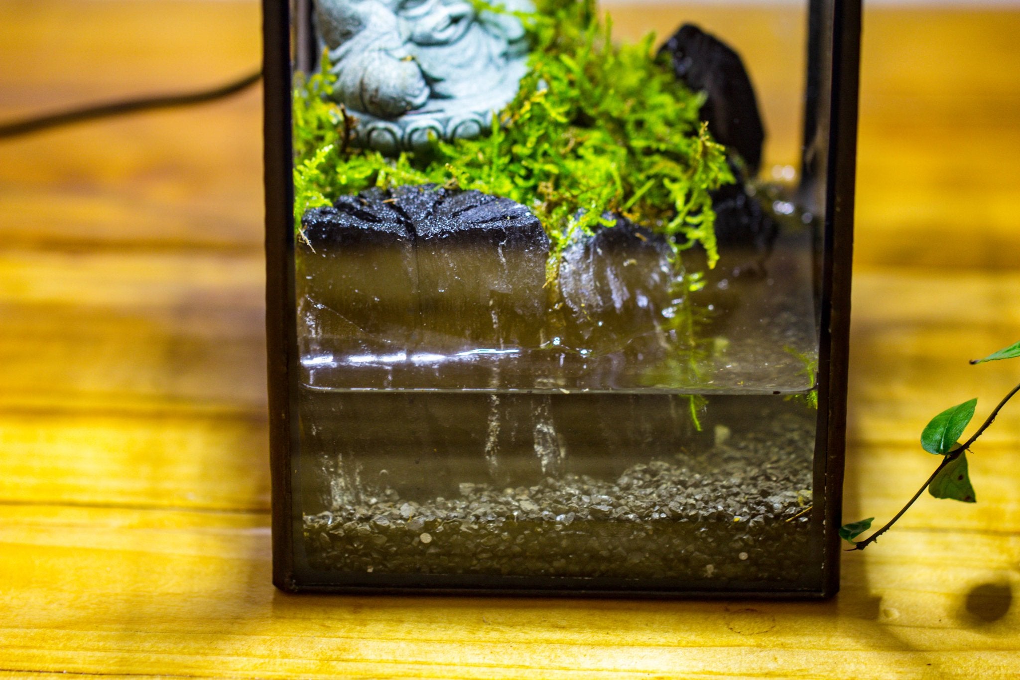 NCYP Watertight Open Geometric Glass Tin Terrarium, for small waterpon ...