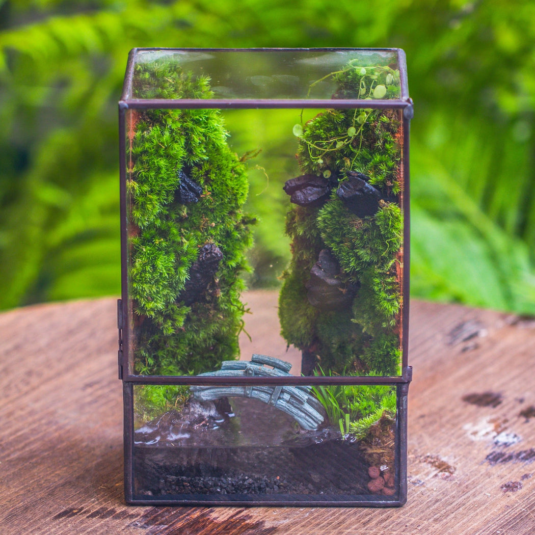 Close Geometric Glass Tin Terrarium , Watertight, 8x10" Container for ...
