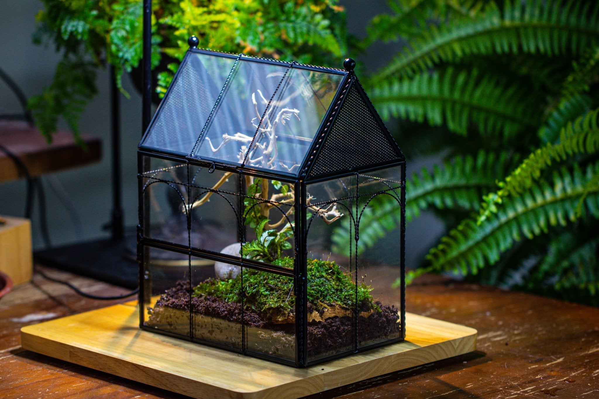 NCYP Vintage House Shape Stainless Steel and Glass Geometric Terrarium ...