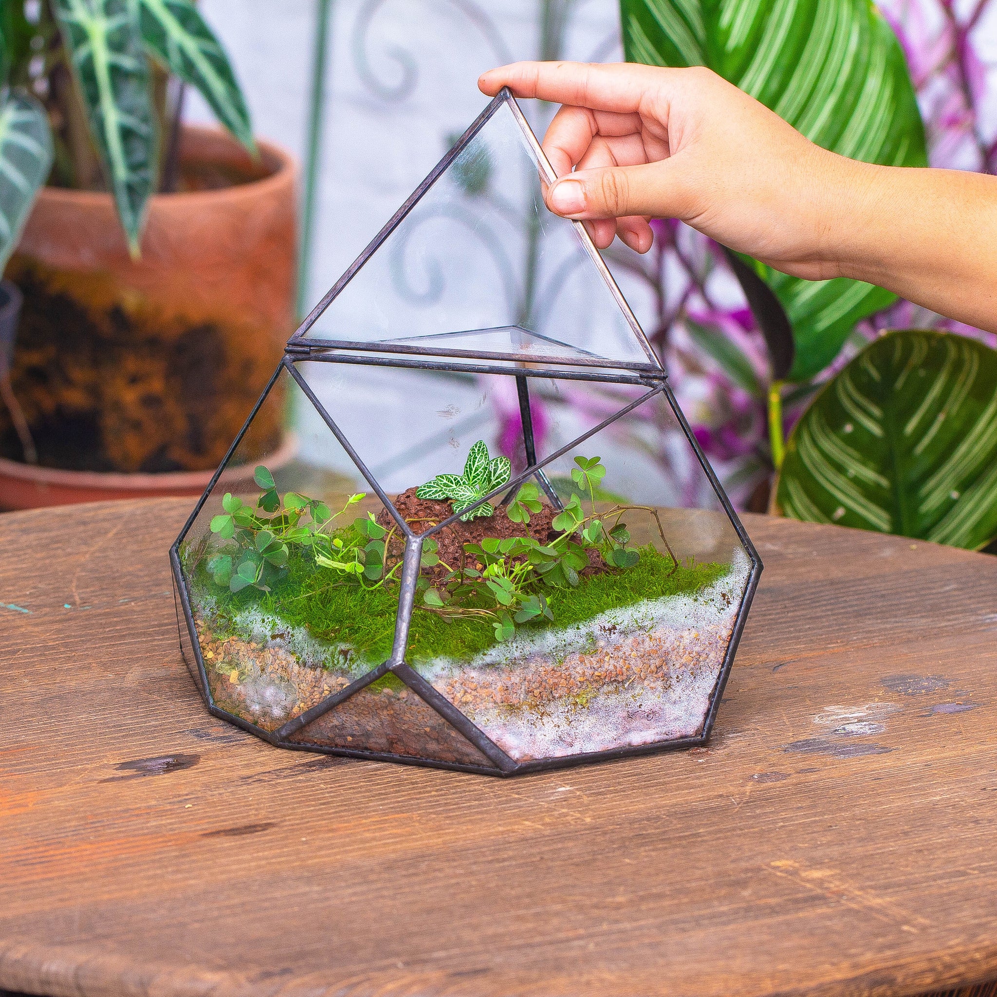 Geometric Terrariums | NCYPgarden