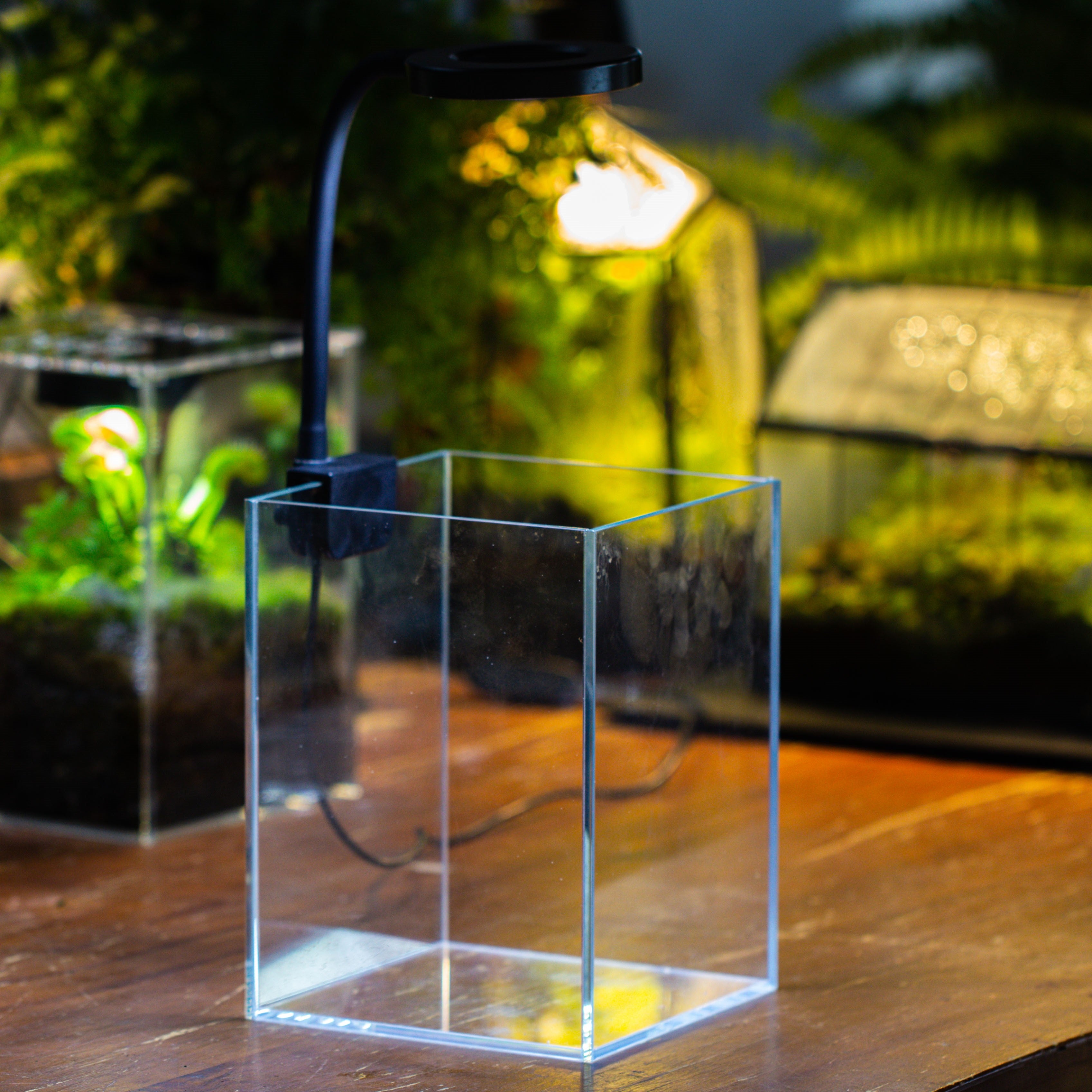 Watertight Glass Tank with LED Grow Light, Acrylic Lid, DIY Terrarium ...