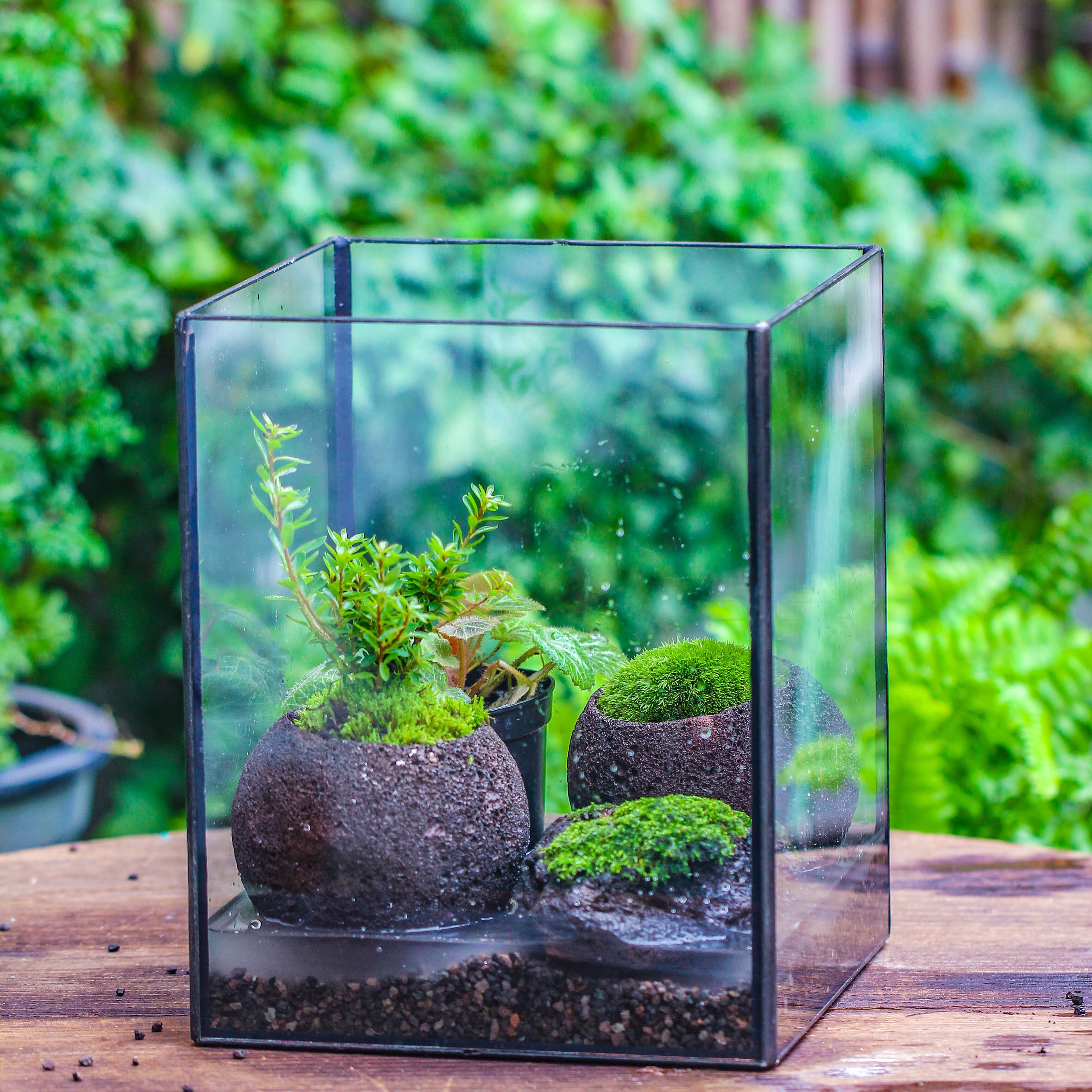 NCYP handmade geometric terrarium, float frame, centerpiece urns ...