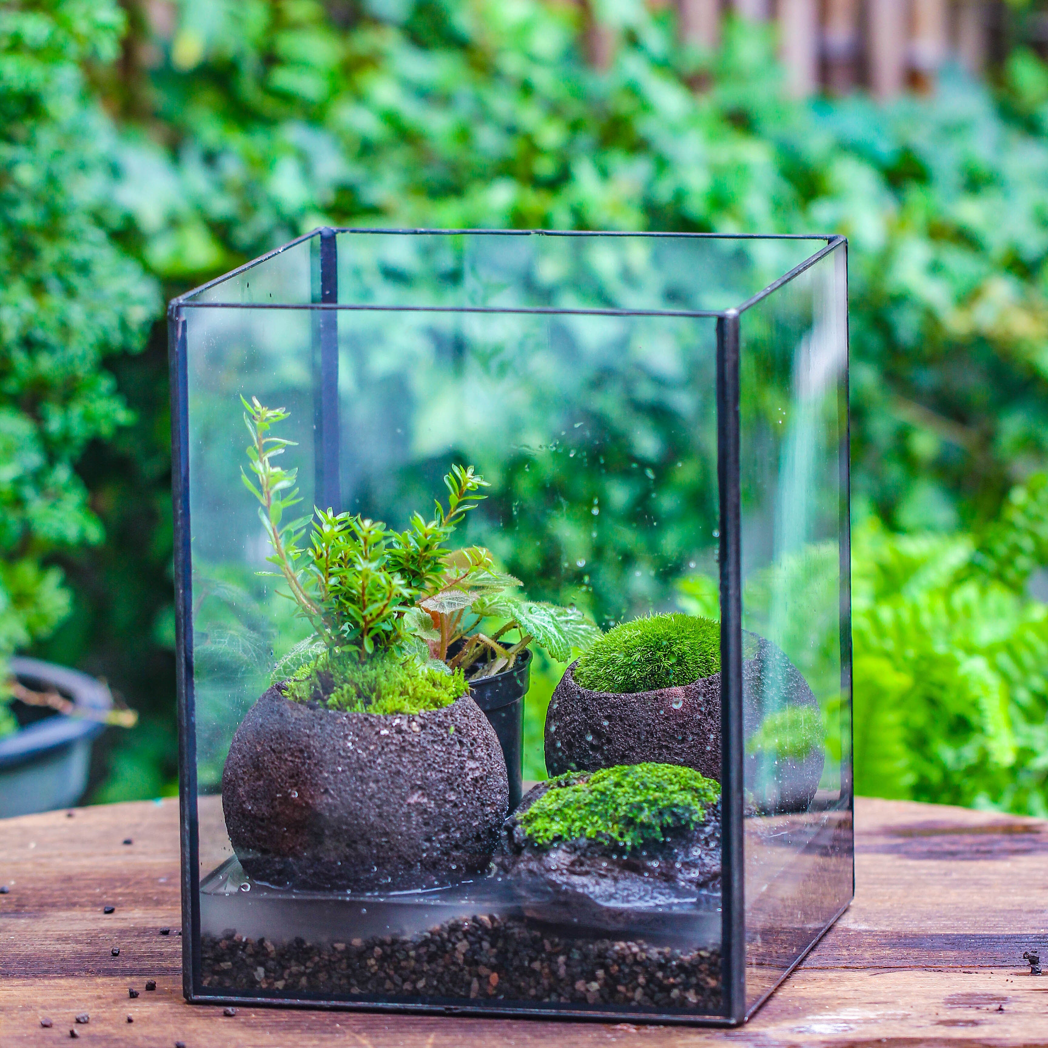 NCYP handmade geometric terrarium, float frame, centerpiece urns ...