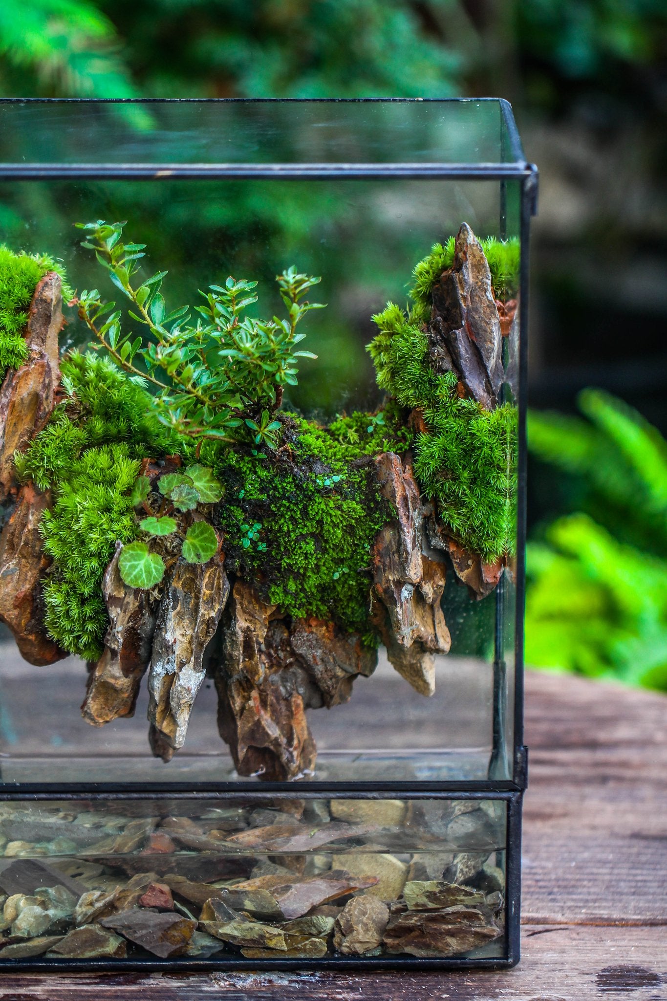 Natural Ohko Dragon Stone Rock for Terrarium — NCYPgarden