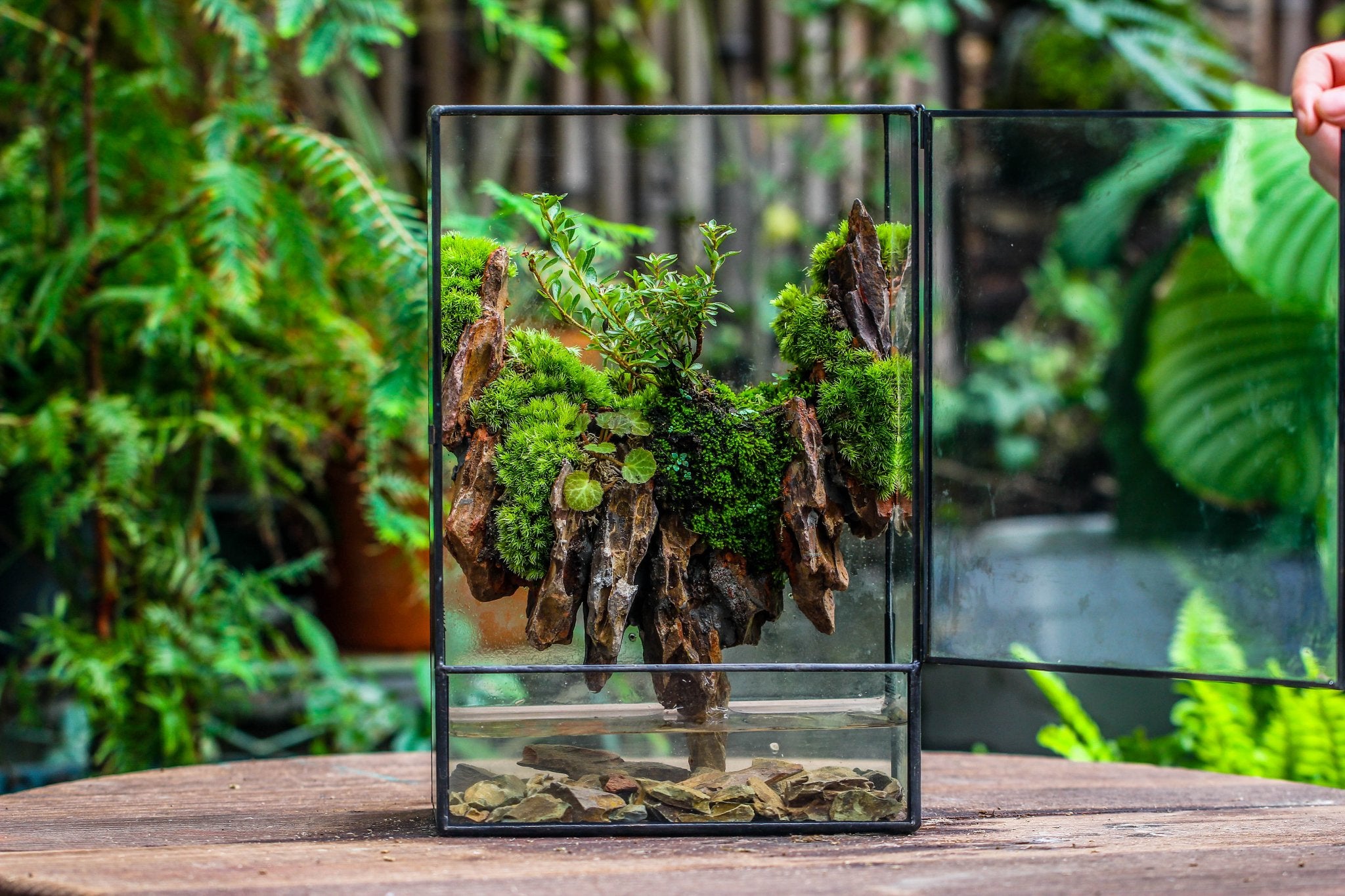 Natural Ohko Dragon Stone Rock for Terrarium — NCYPgarden