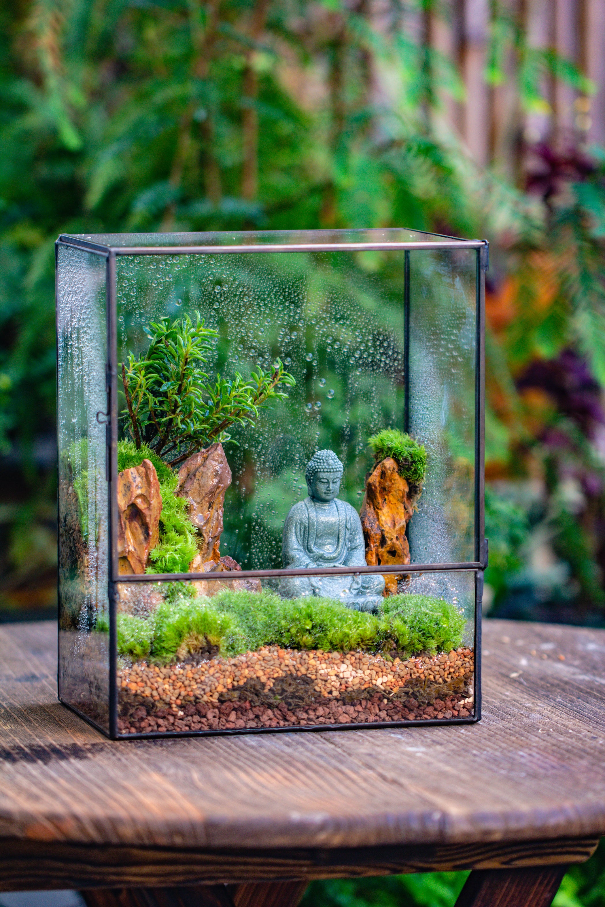 Buddha Geometric Glass Tin Terrarium Set | NCYP Garden — NCYPgarden