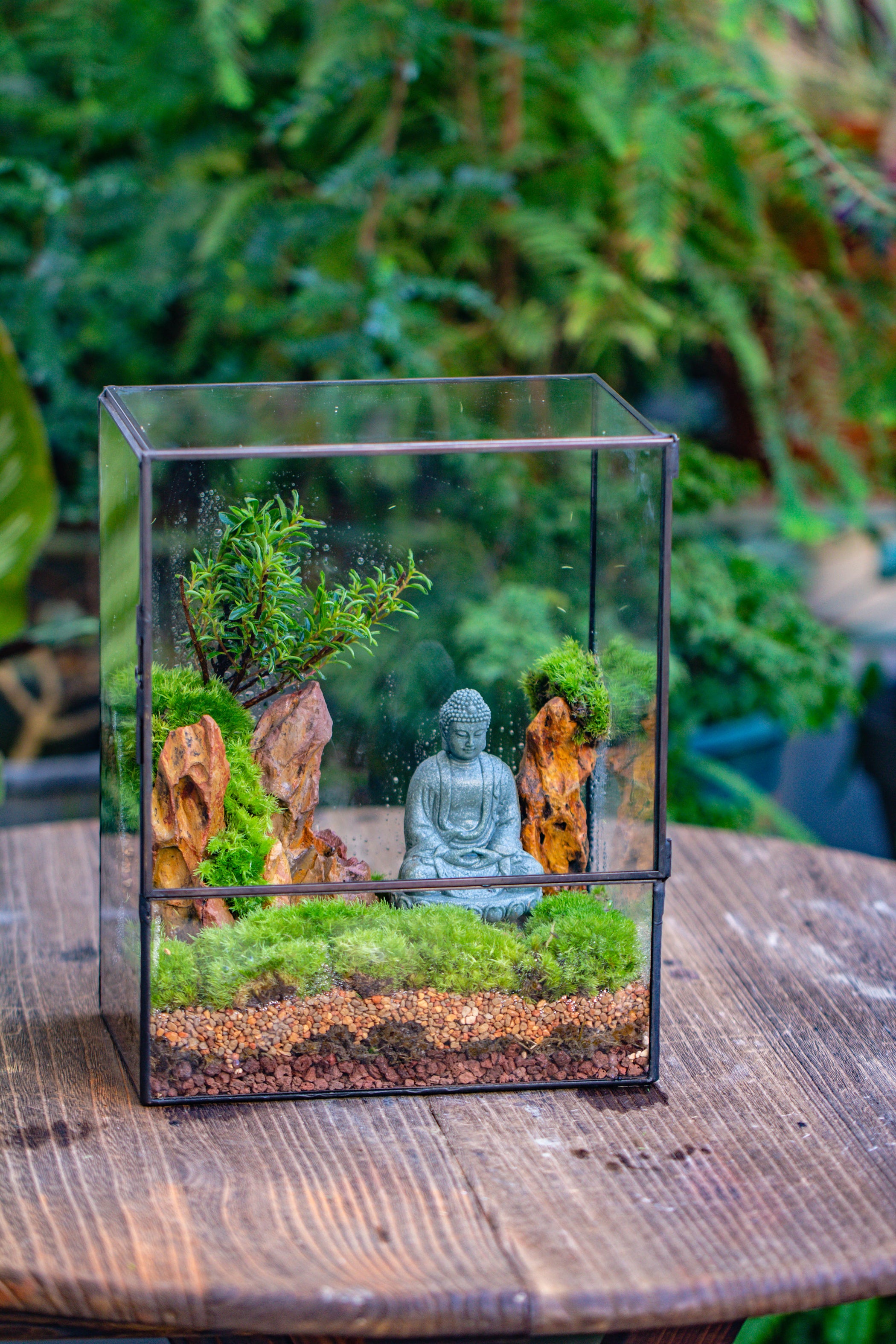 Buddha Geometric Glass Tin Terrarium Set | NCYP Garden — NCYPgarden
