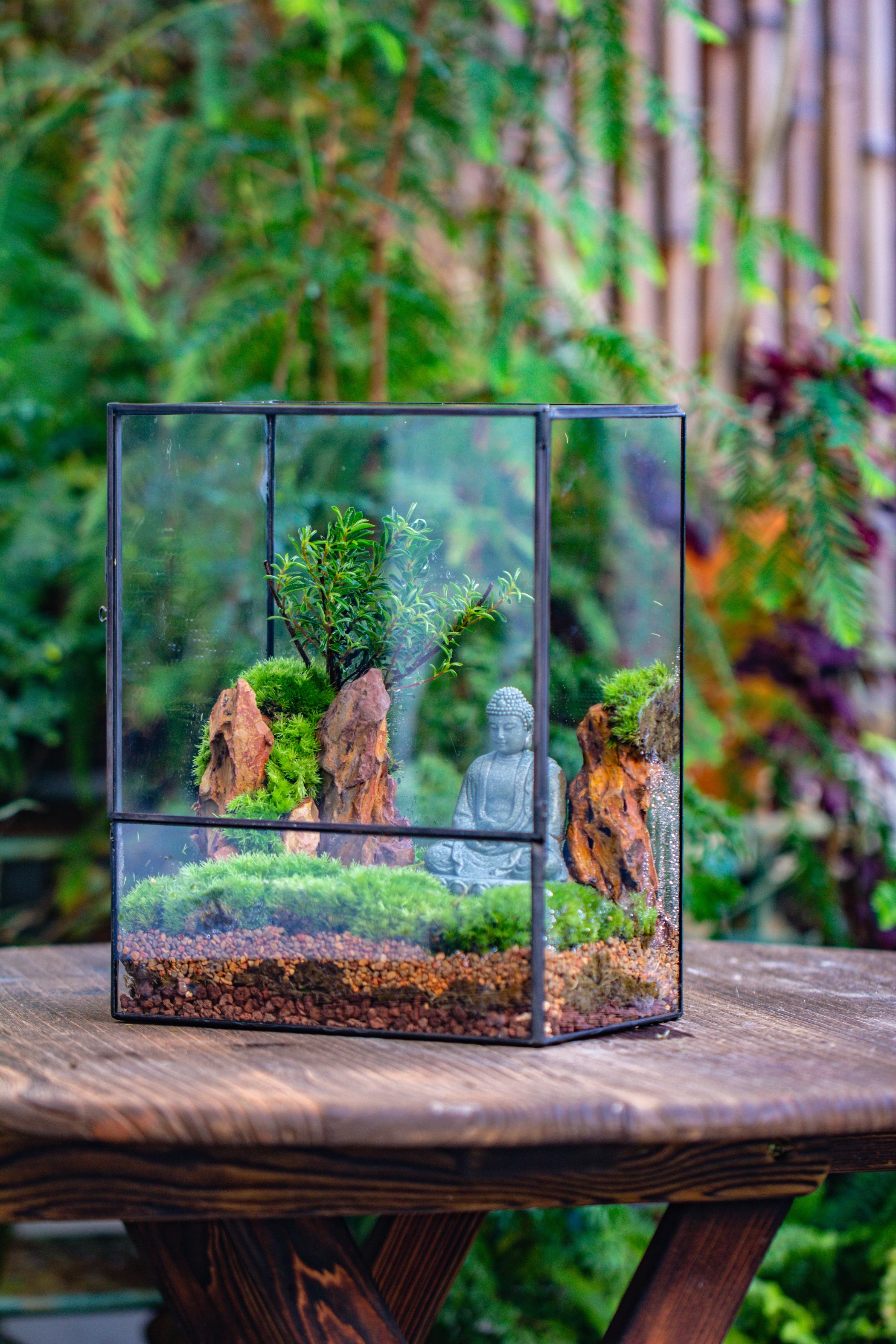 Buddha Geometric Glass Tin Terrarium Set | NCYP Garden — NCYPgarden