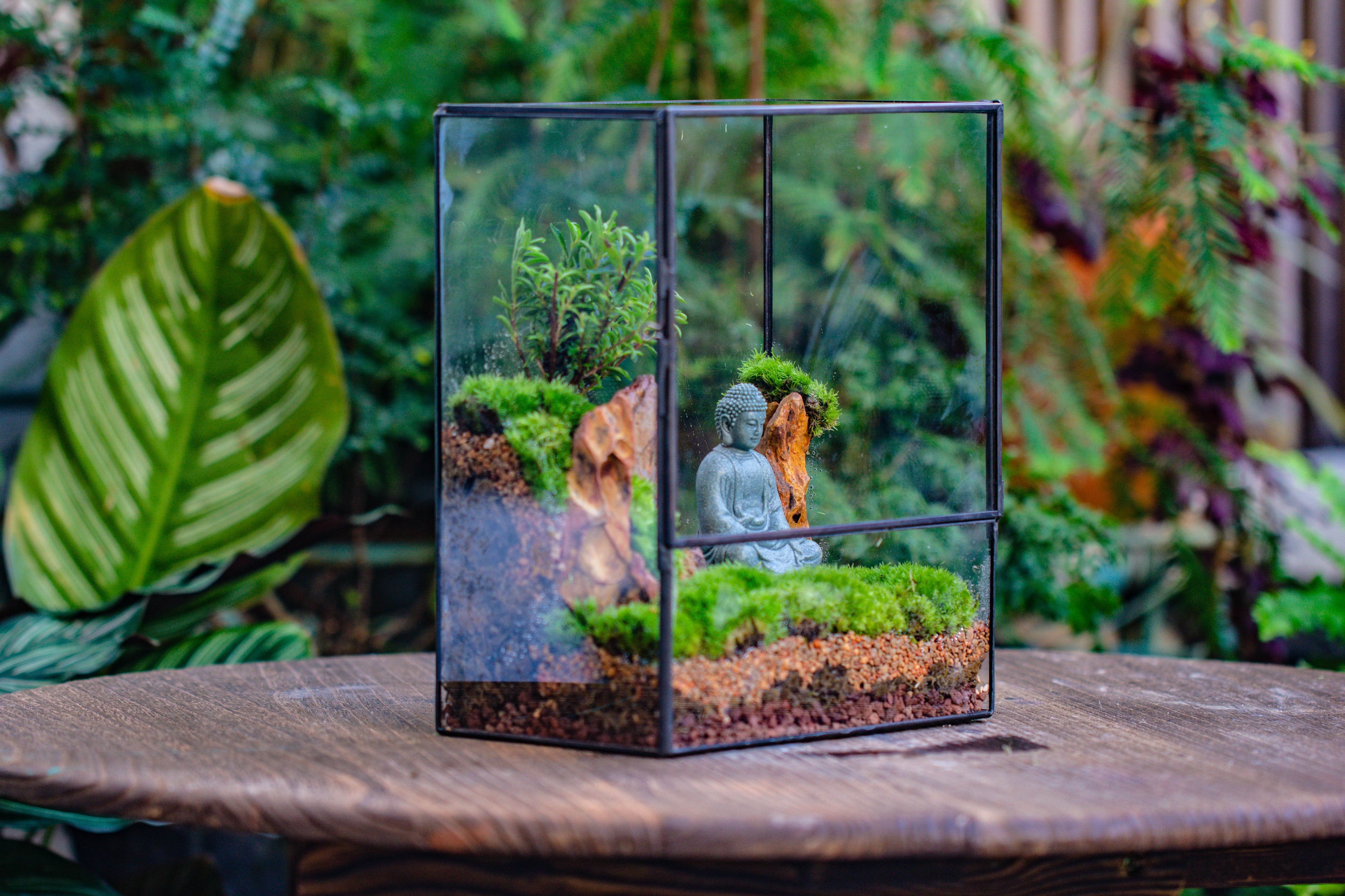 Buddha Geometric Glass Tin Terrarium Set | NCYP Garden — NCYPgarden