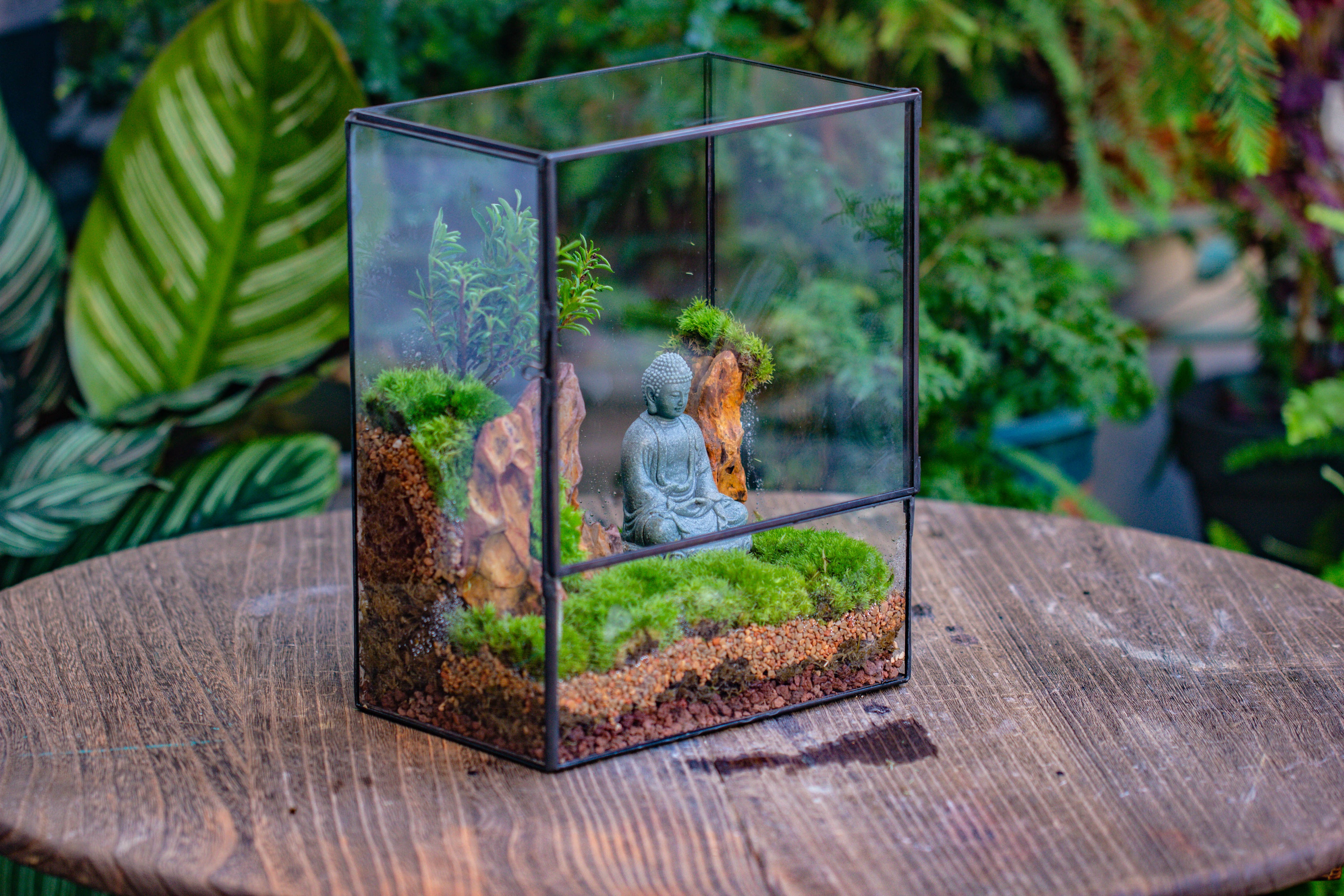 Buddha Geometric Glass Tin Terrarium Set | NCYP Garden — NCYPgarden