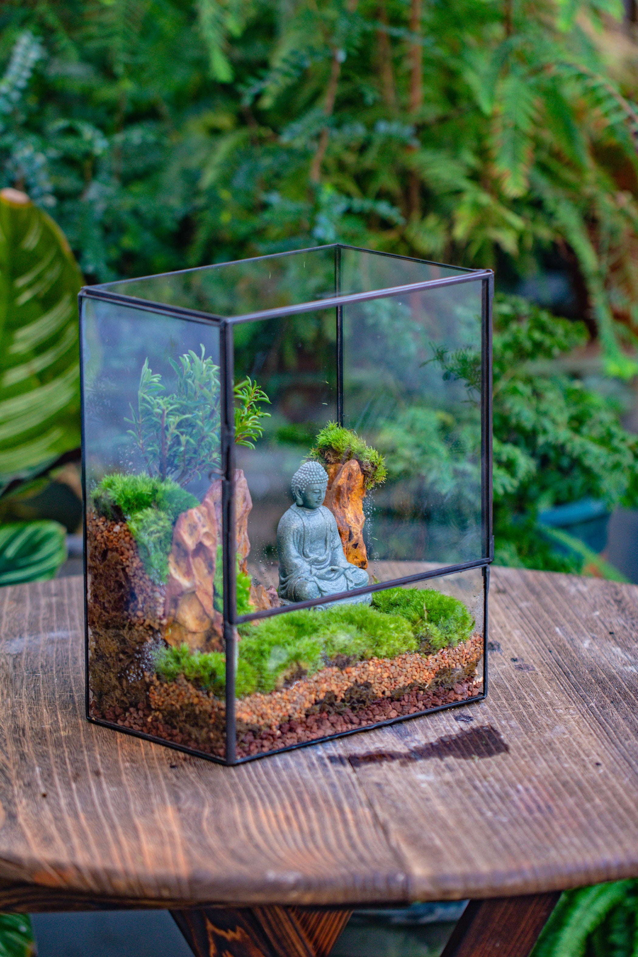 Buddha Geometric Glass Tin Terrarium Set | NCYP Garden — NCYPgarden