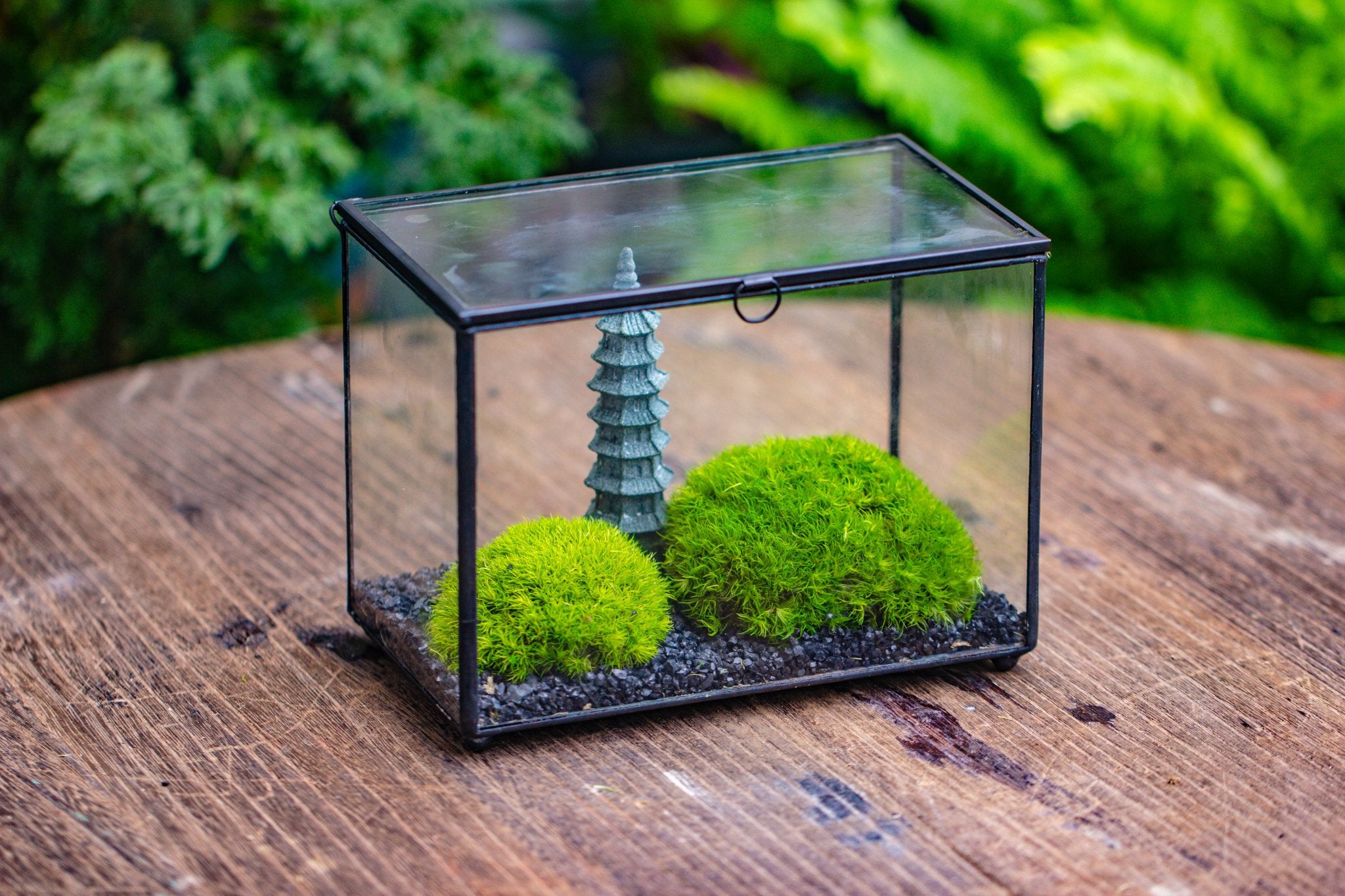 Preserved moss terrarium Miniature DIY set, Japanese Zen Style, Preser ...
