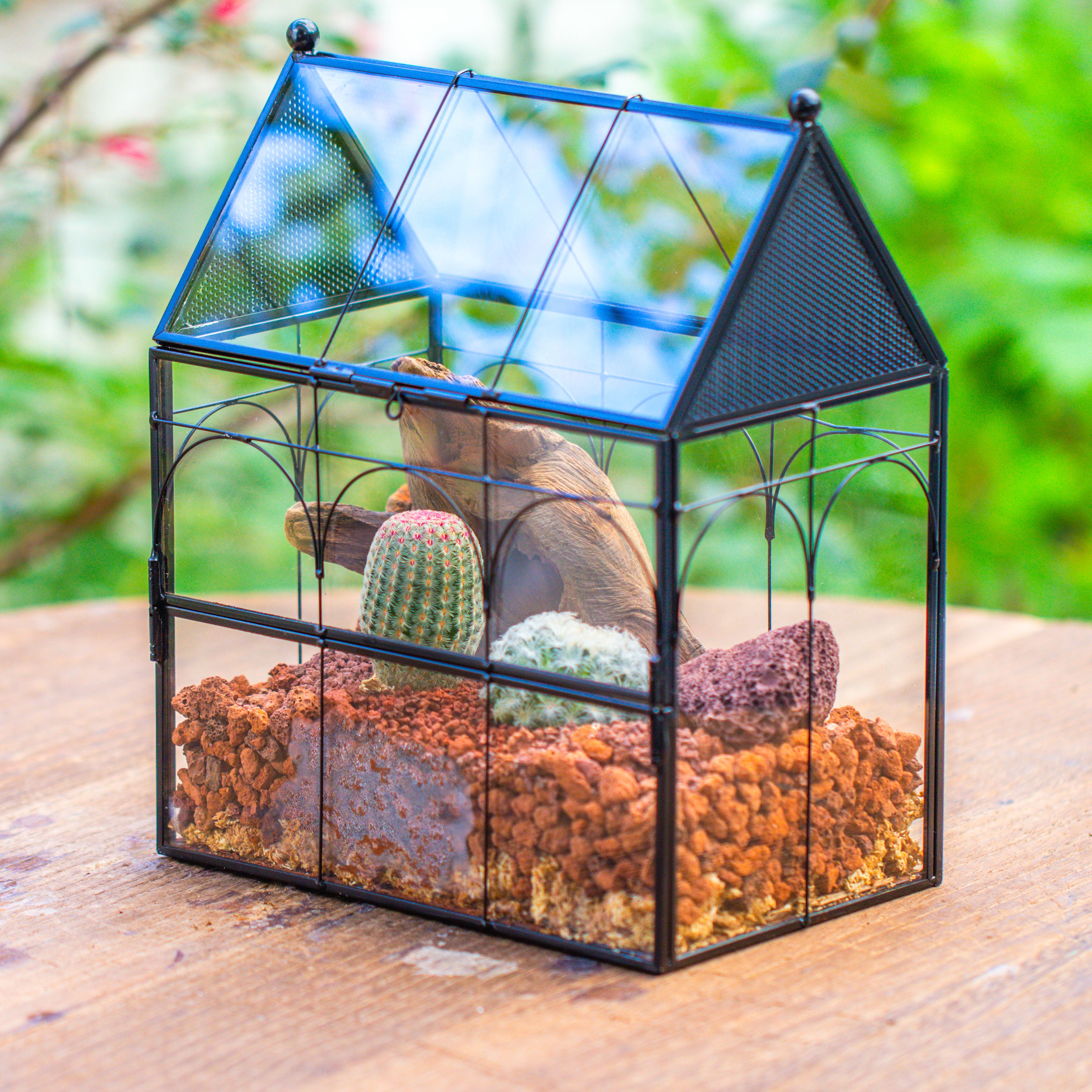 NCYP Vintage House Shape Glass Geometric Terrarium, with side door, wi ...