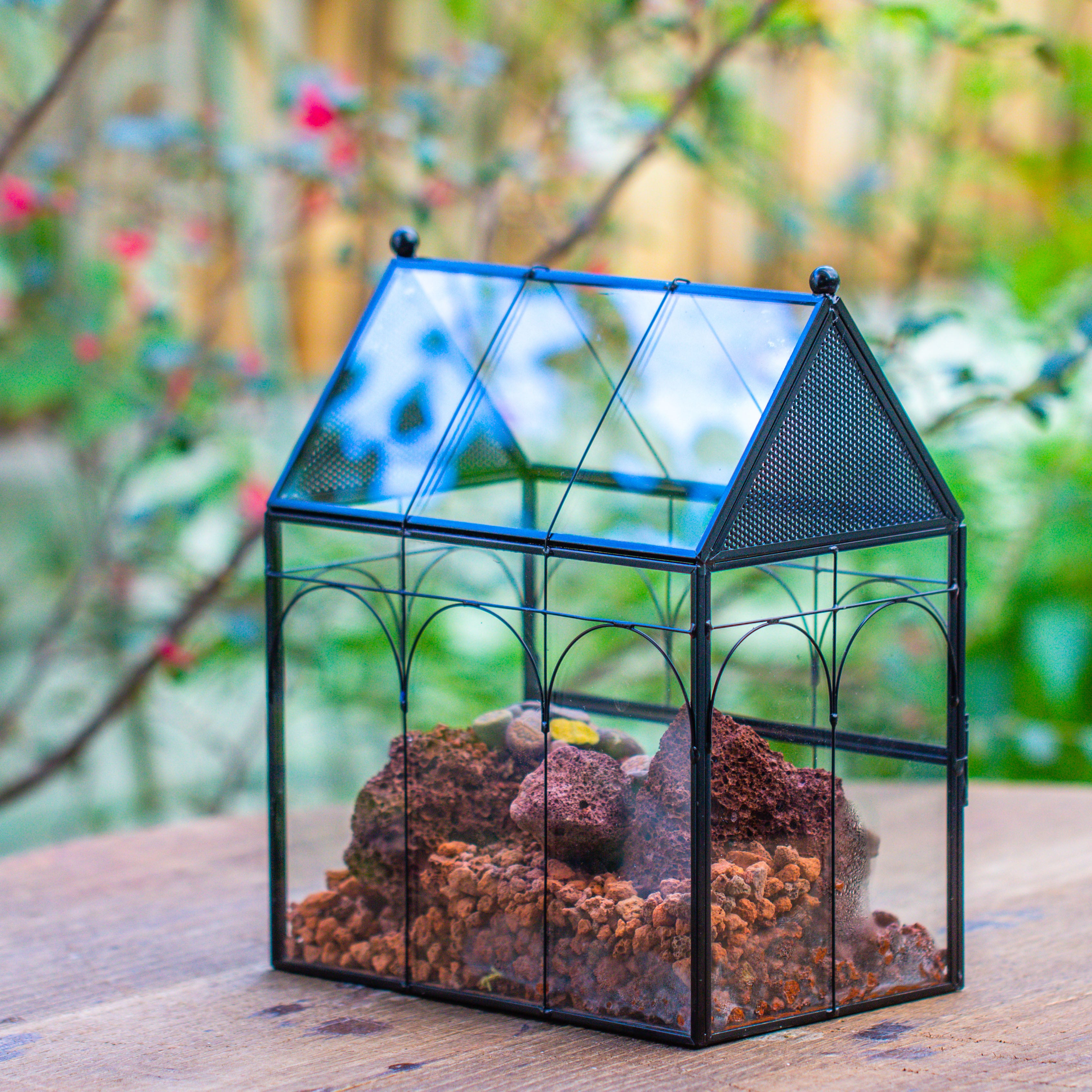 NCYP Vintage House Shape Glass Geometric Terrarium, with side door, wi ...