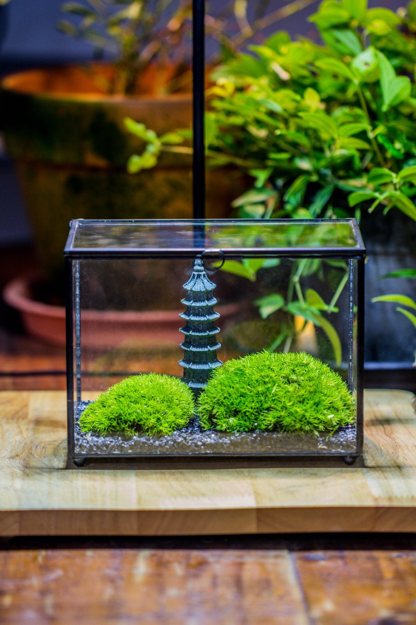 Preserved moss terrarium Miniature DIY set, Japanese Zen Style, Preser ...