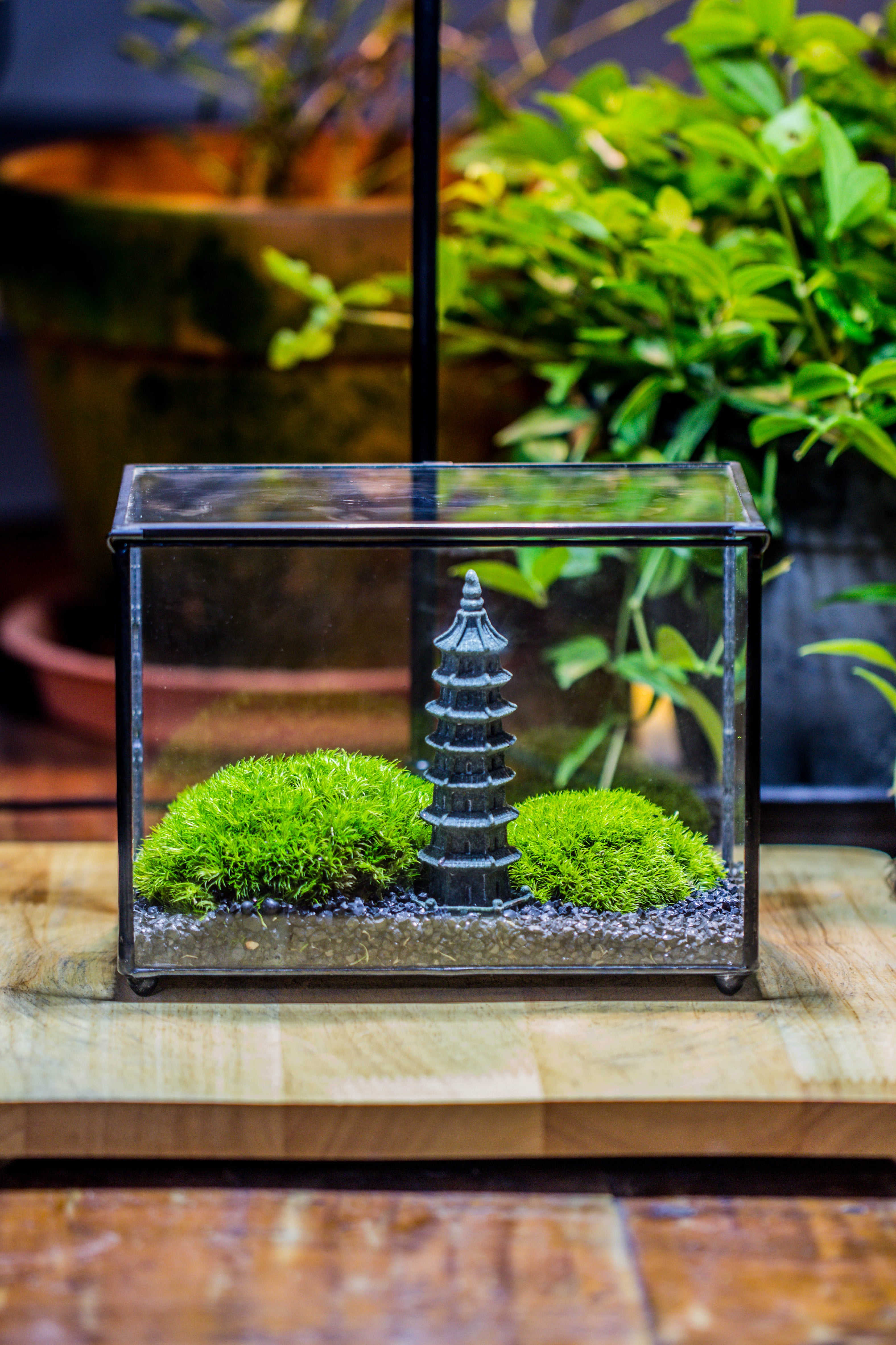 Preserved moss terrarium Miniature DIY set, Japanese Zen Style, Preser ...