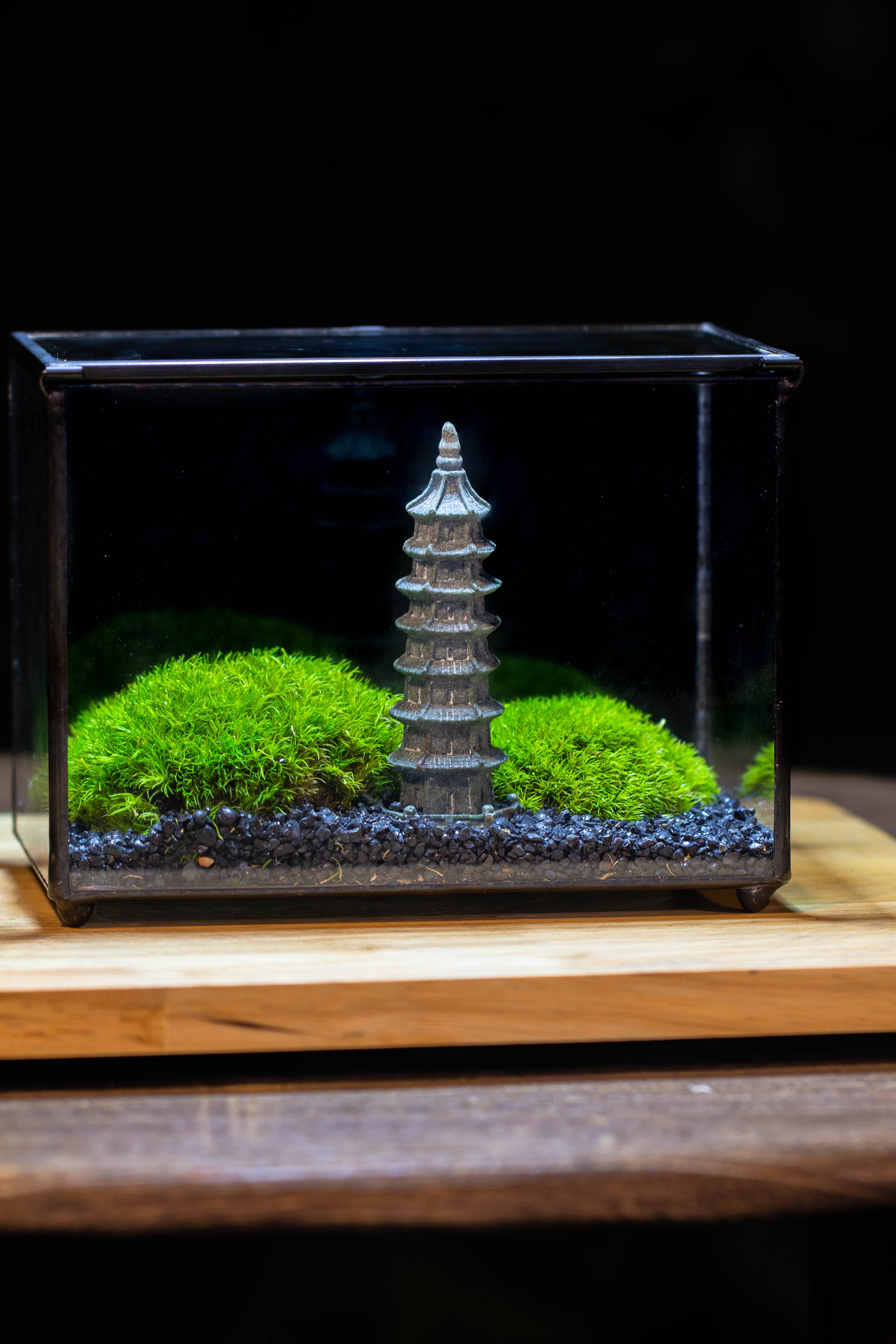 Preserved moss terrarium Miniature DIY set, Japanese Zen Style, Preser ...