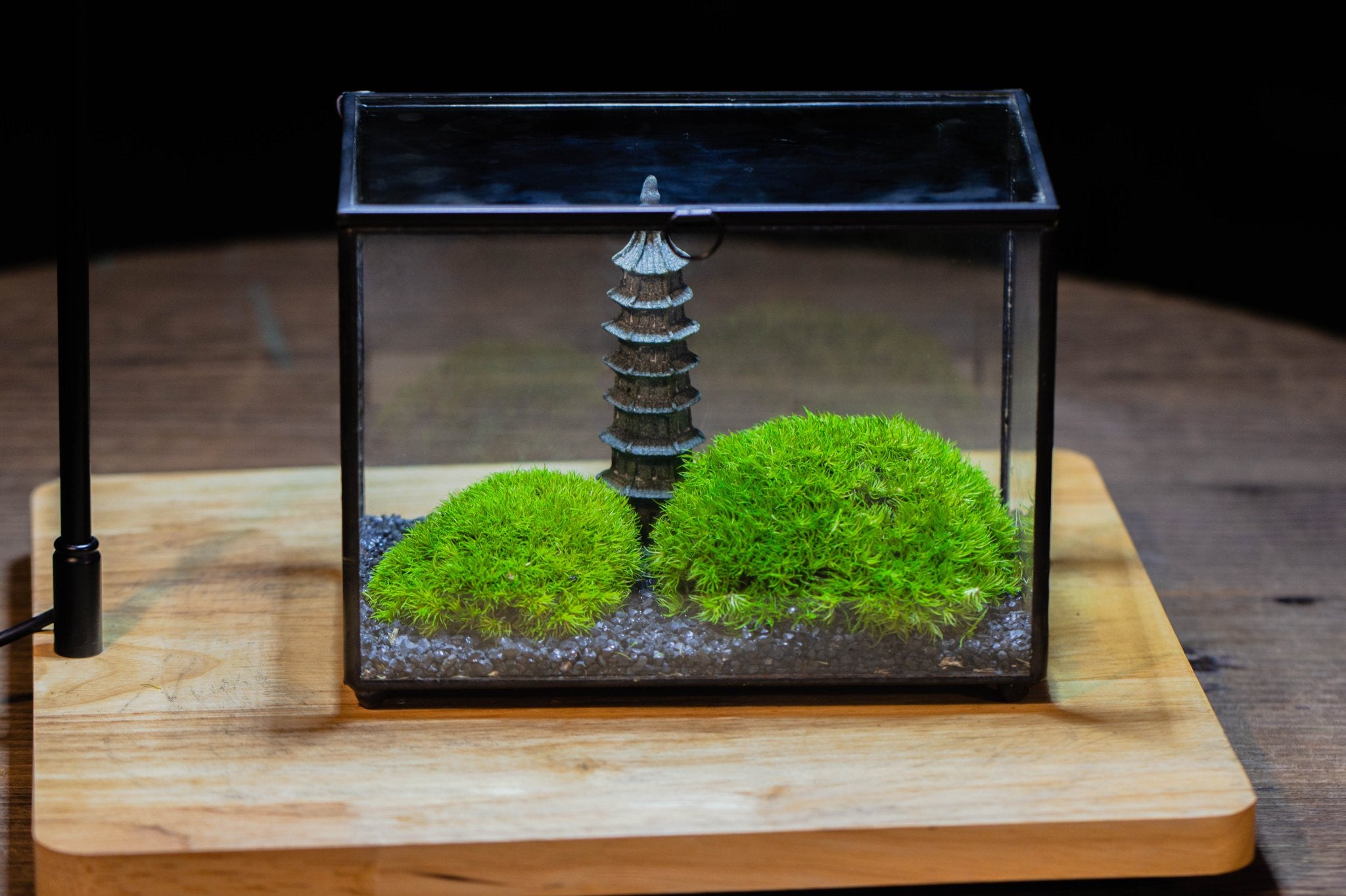 Preserved moss terrarium Miniature DIY set, Japanese Zen Style, Preser ...