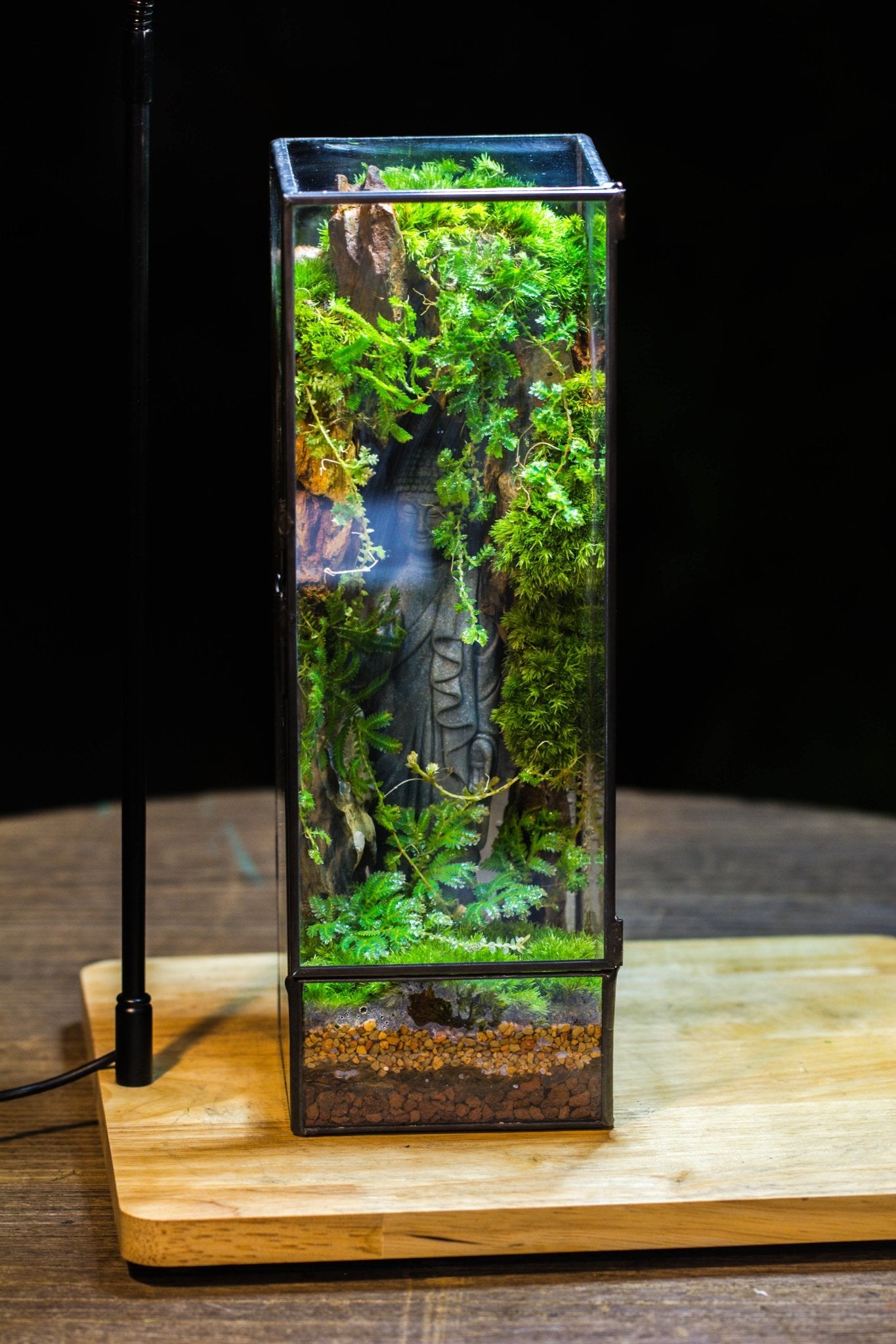 NCYP Close 11.8" Tall Geometric Glass Terrarium with Door DIY set, with ...