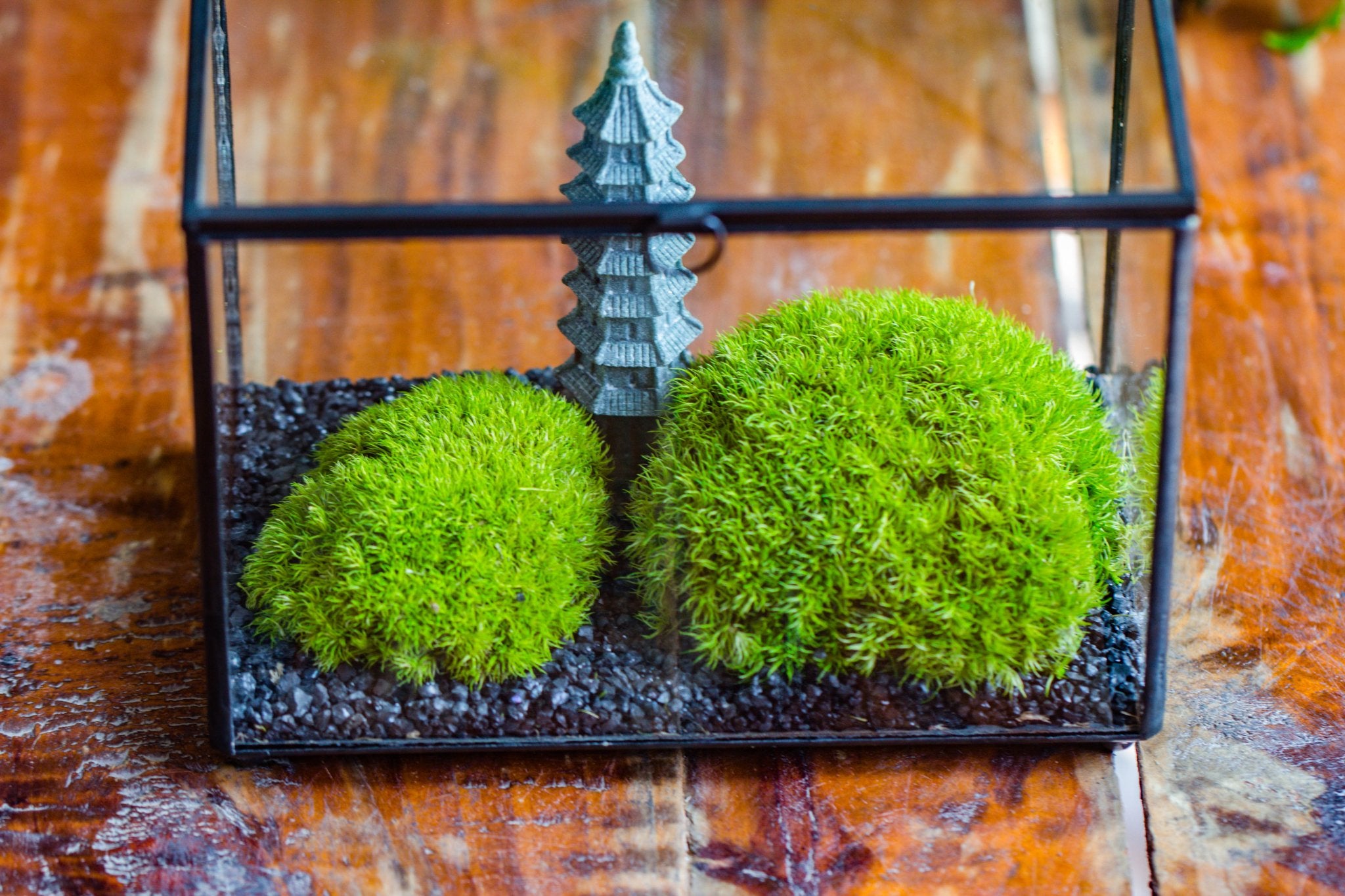 Preserved moss terrarium Miniature DIY set, Japanese Zen Style, Preser ...