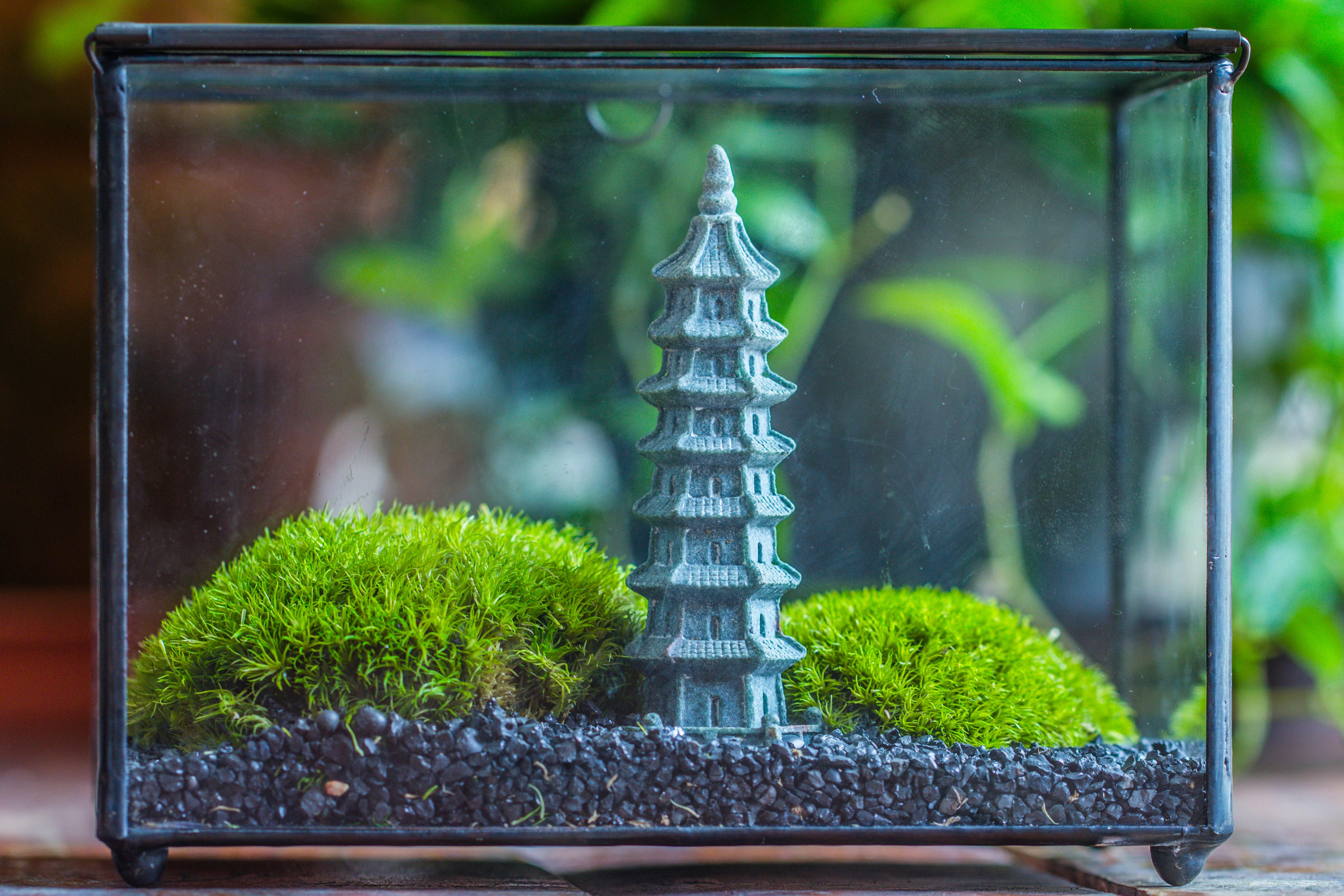 Preserved moss terrarium Miniature DIY set, Japanese Zen Style, Preser ...