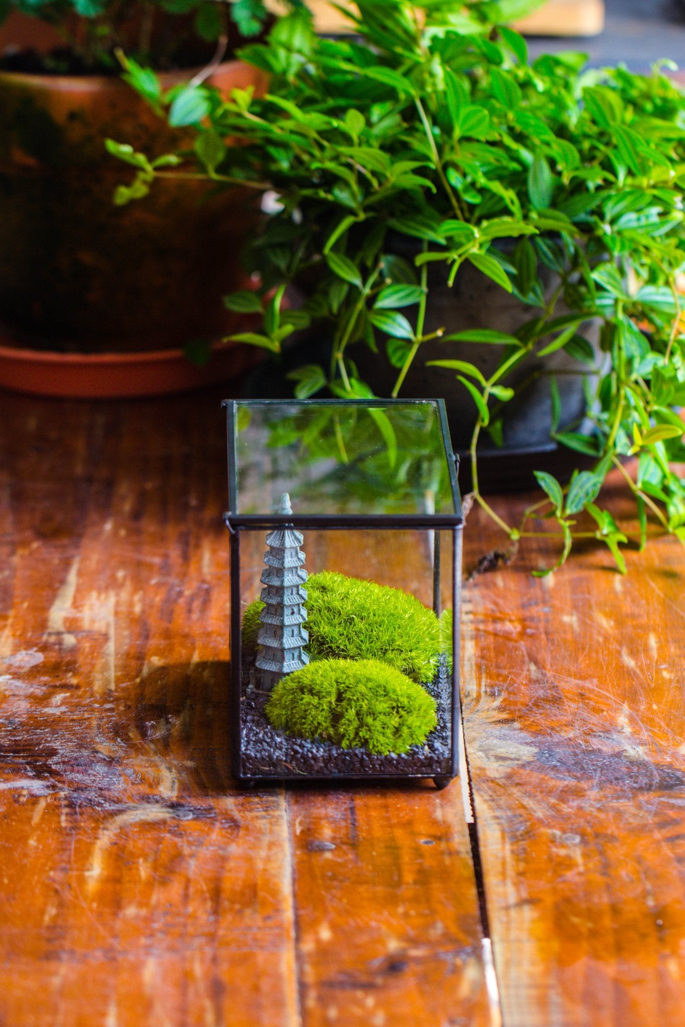 Preserved moss terrarium Miniature DIY set, Japanese Zen Style, Preser ...