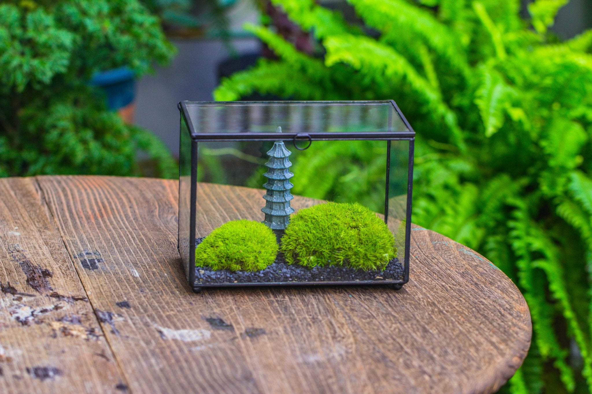 Preserved moss terrarium Miniature DIY set, Japanese Zen Style, Preser ...