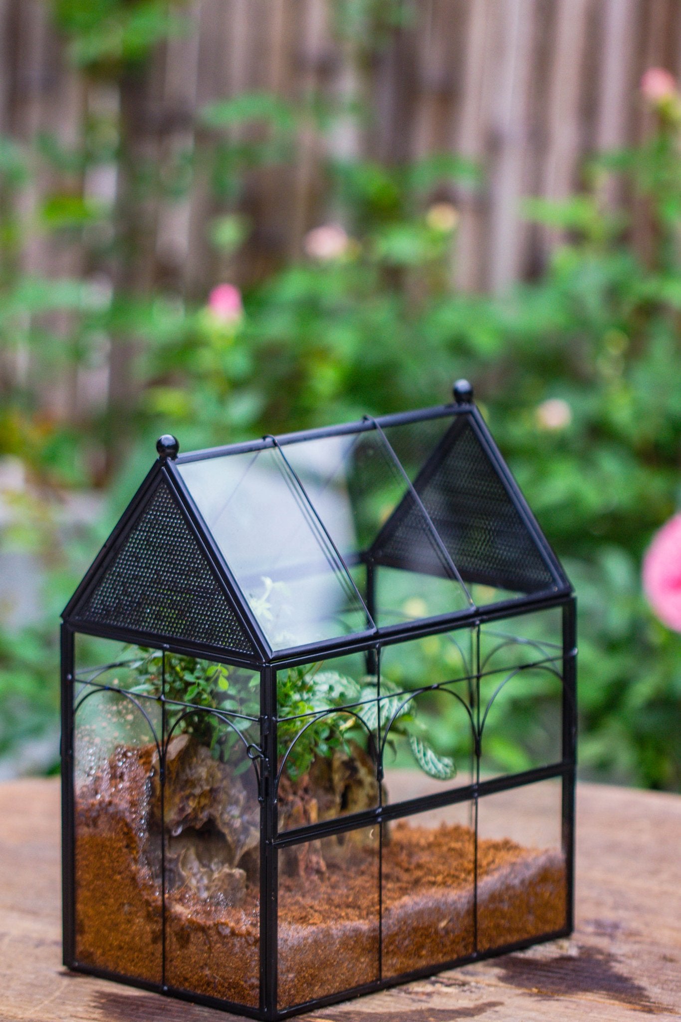 NCYP Vintage House Shape Tin and Glass Geometric Terrarium, with side ...